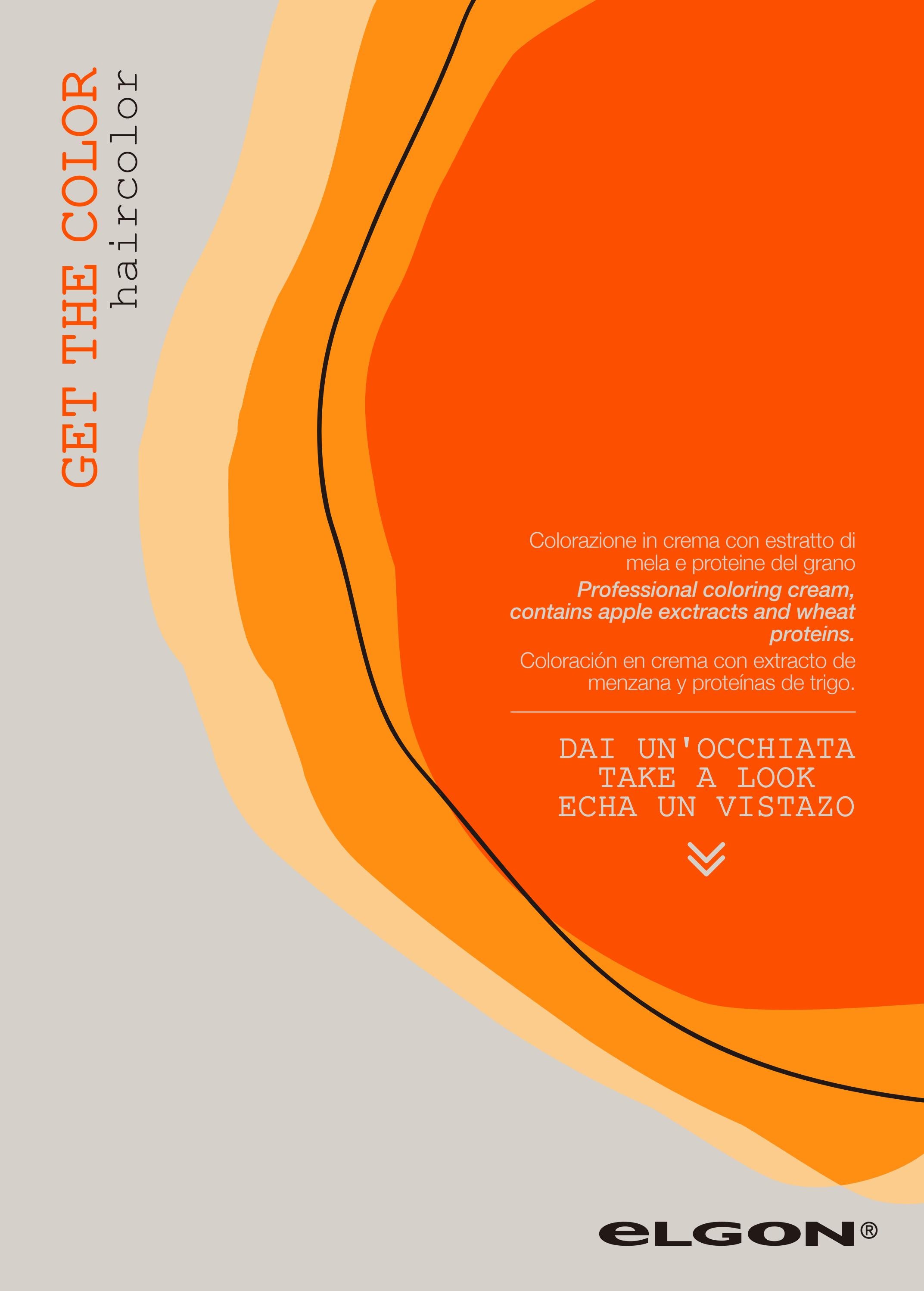 Carta de color Elgon | Get the Color 100ml by picharachile - Issuu