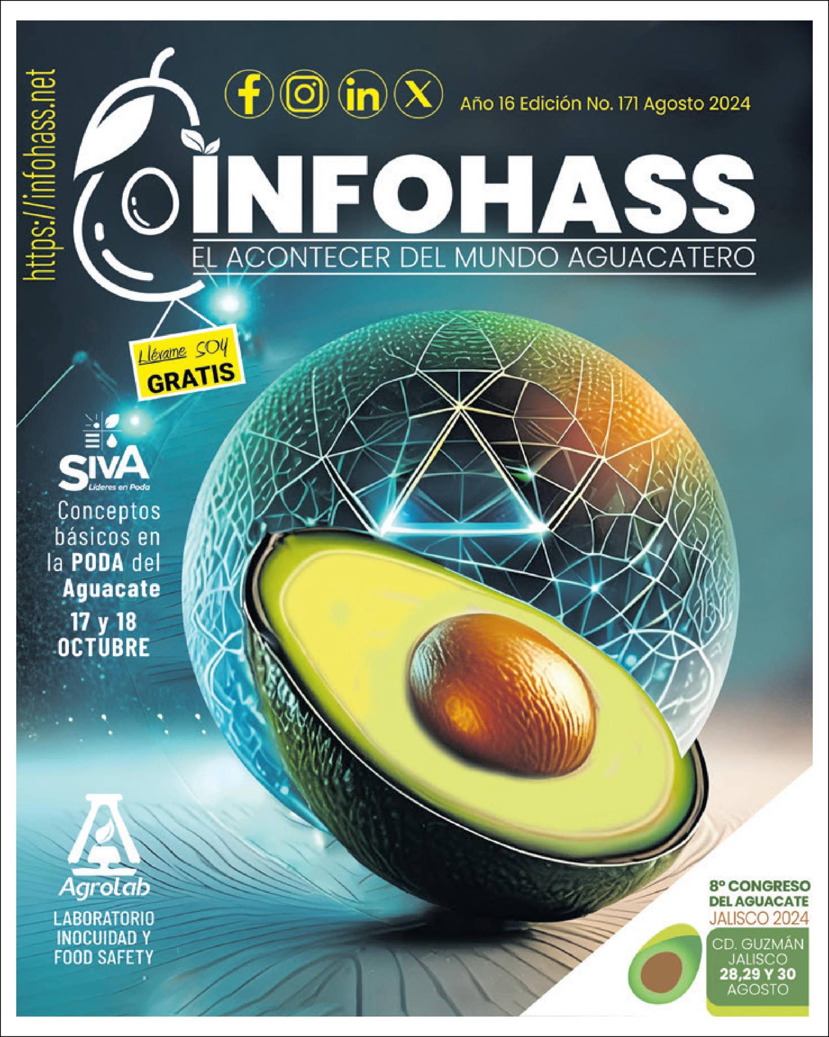 INFOHASS EDICIÓN AÑO 16 No. 171 by InfoHass - Issuu