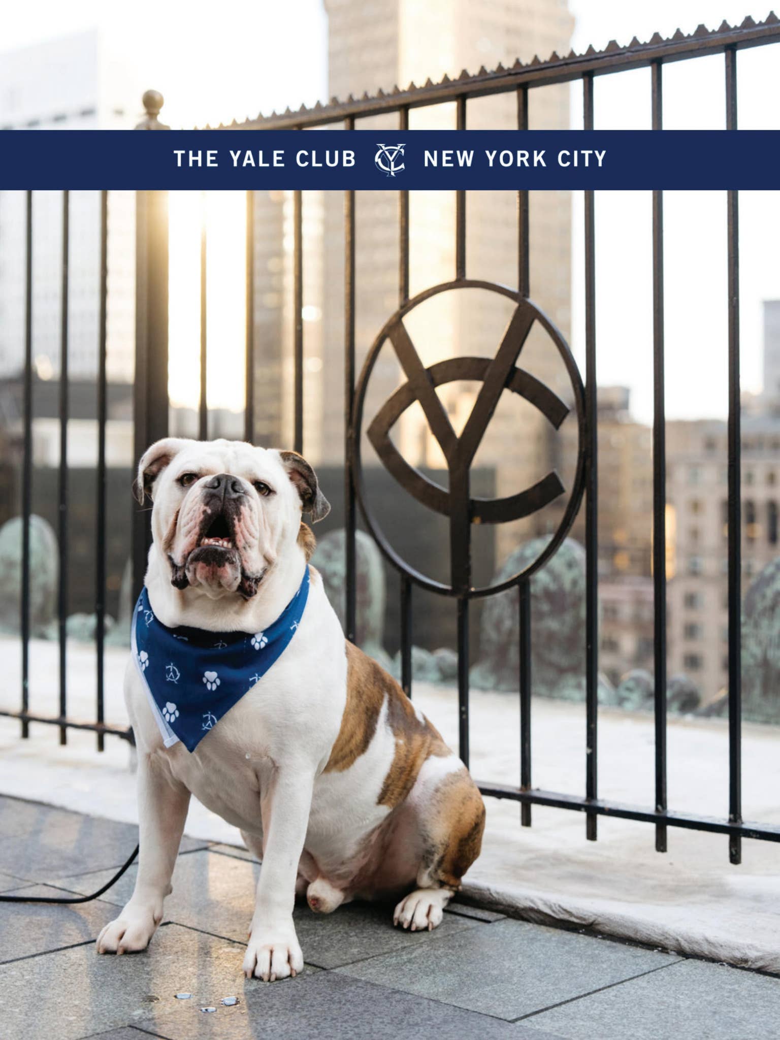 The Yale Club of New York City - Platinum Clubs 2024 Submission by Yale ...