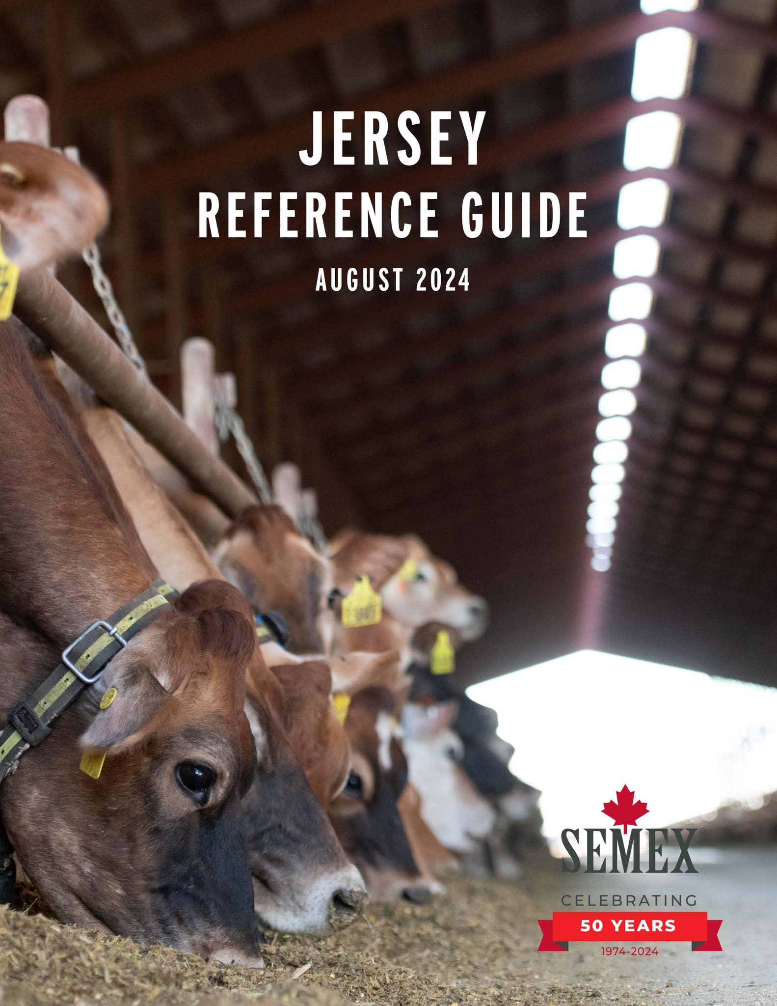 Semex - August 2024 USA Jersey Reference Guide by Semex - Issuu