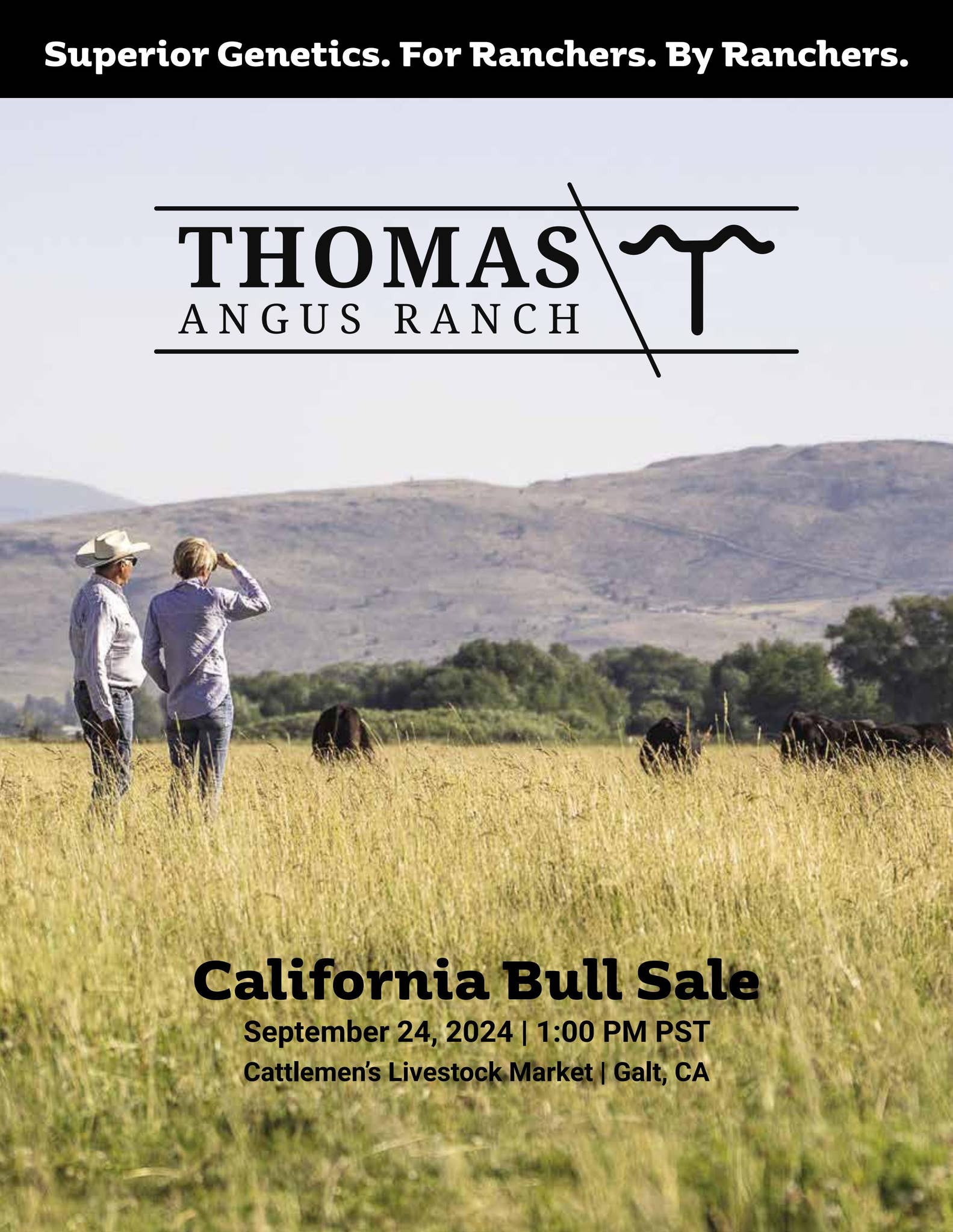 Thomas Angus Ranch California Bull Sale - 2024 by Generation 6 ...