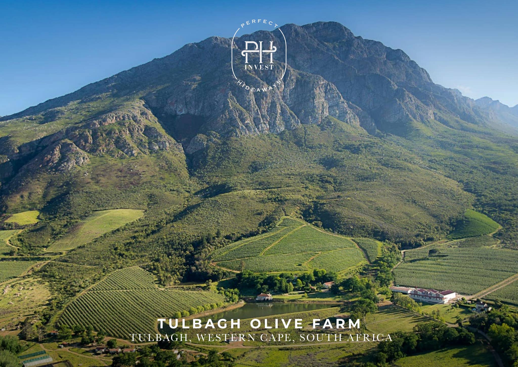 PHI- Tulbagh Olive Farm by Perfect Hideaways - Issuu