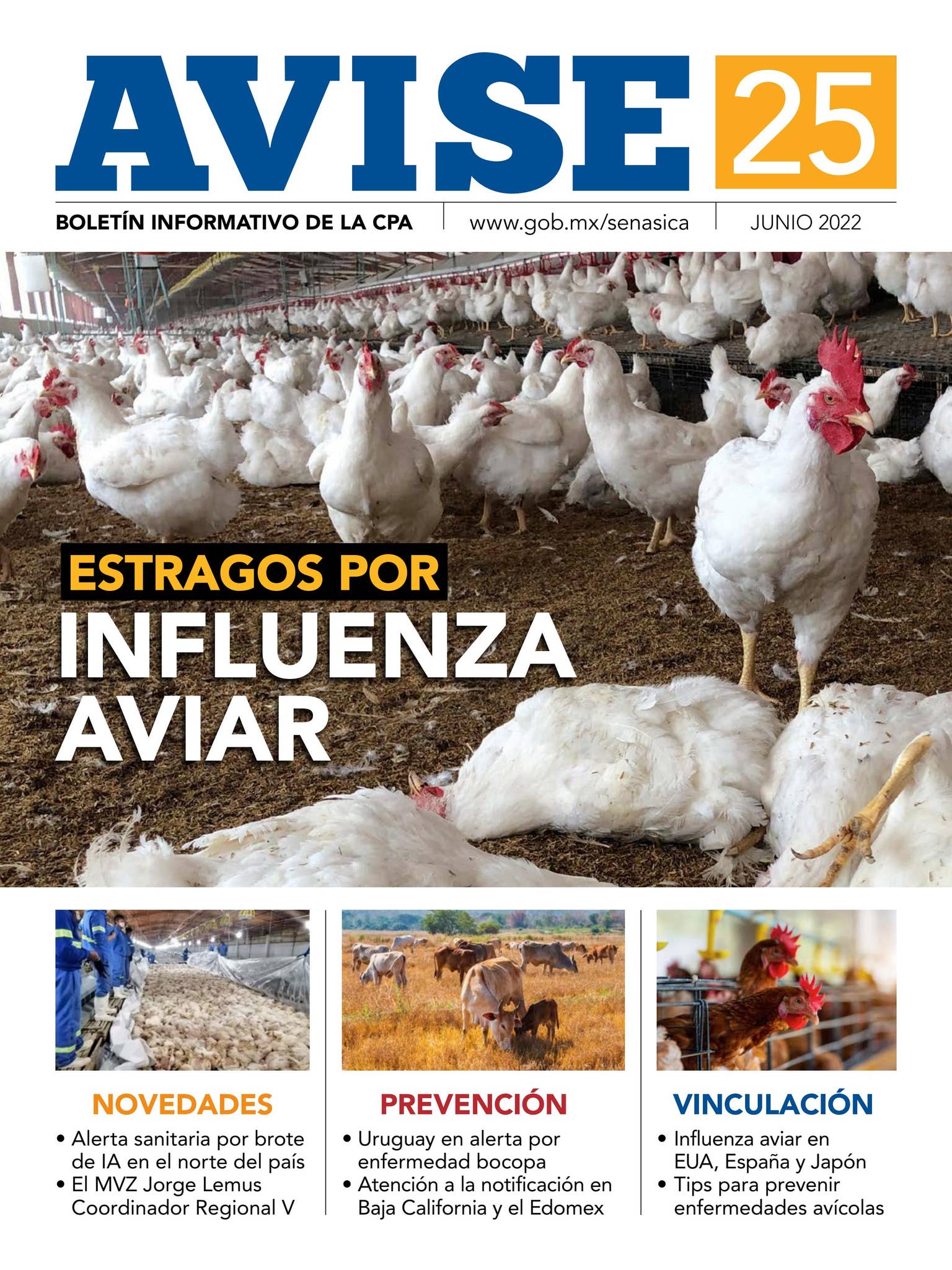 AVISE 25 by SENASICA - Issuu