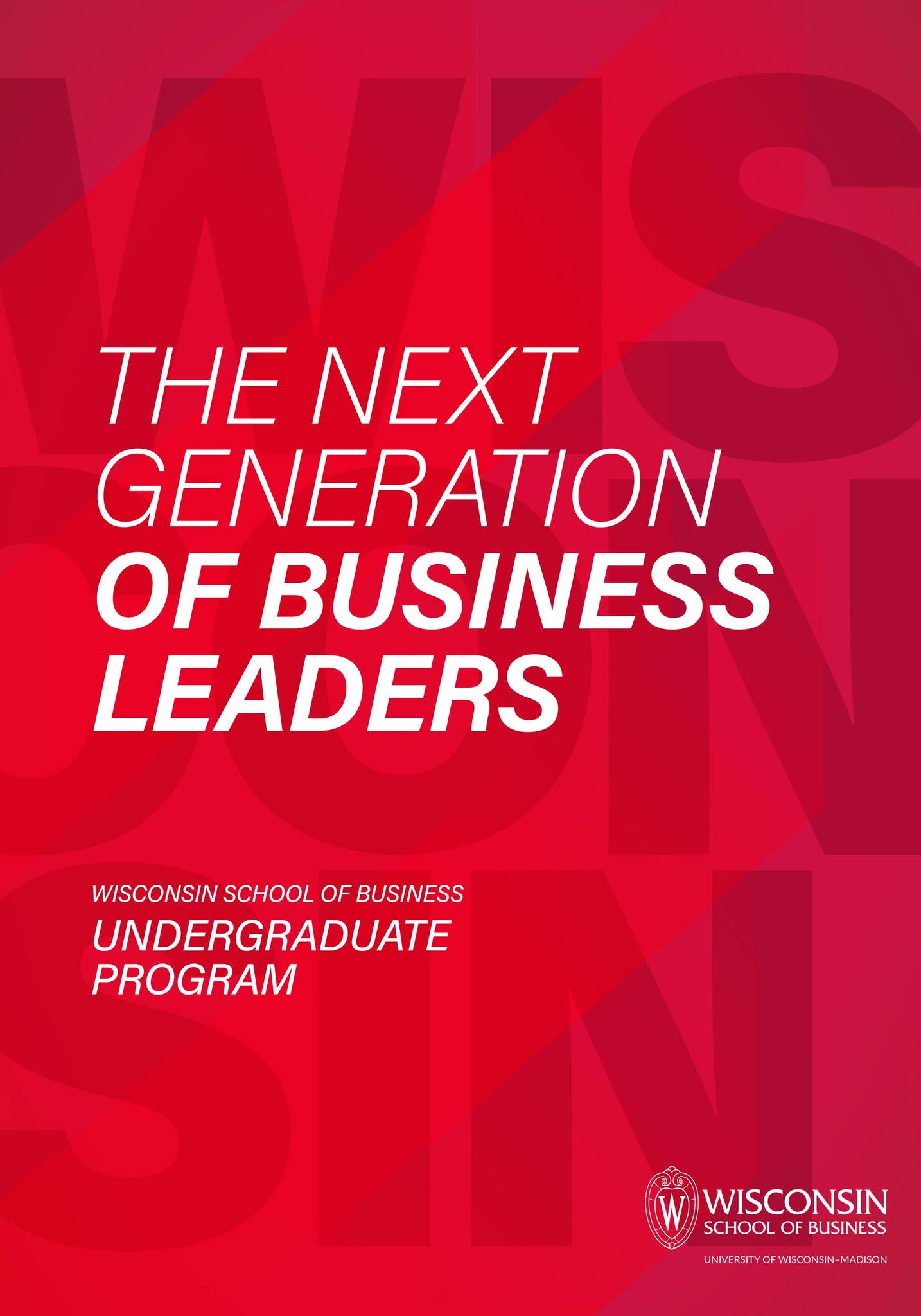 Wisconsin Undergraduate Program Brochure by University of Wisconsin ...