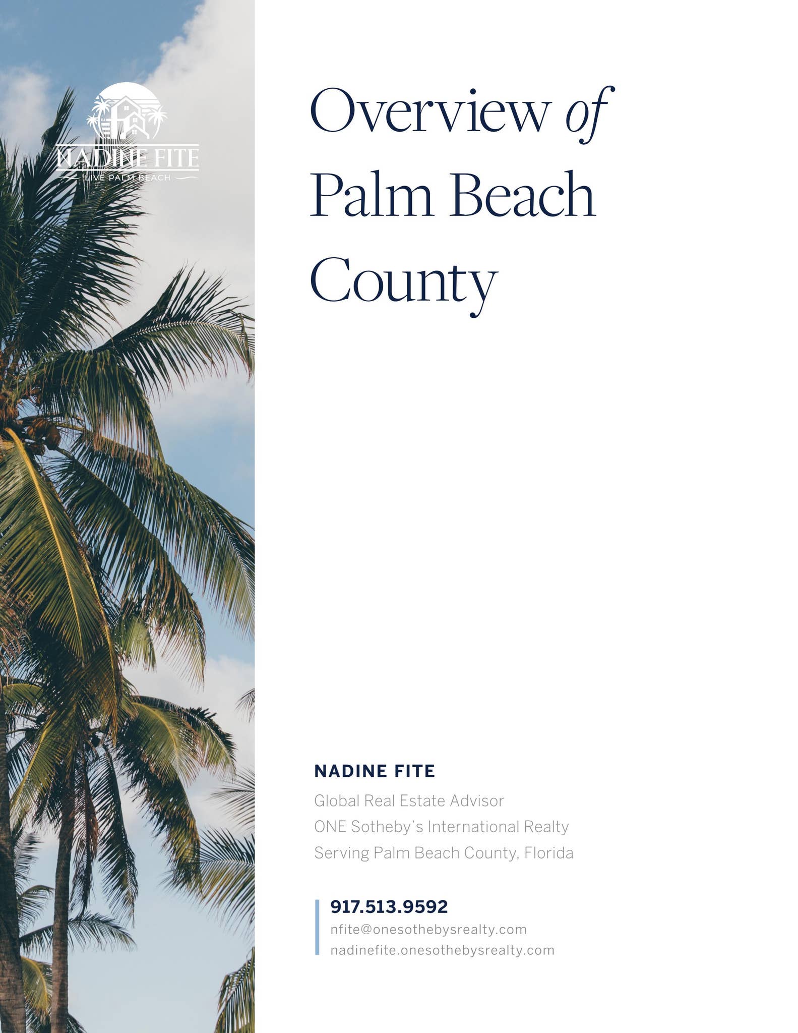 Q2 Palm Beach County Overview 2024 by Nadine Fite, Palm Beach County ...