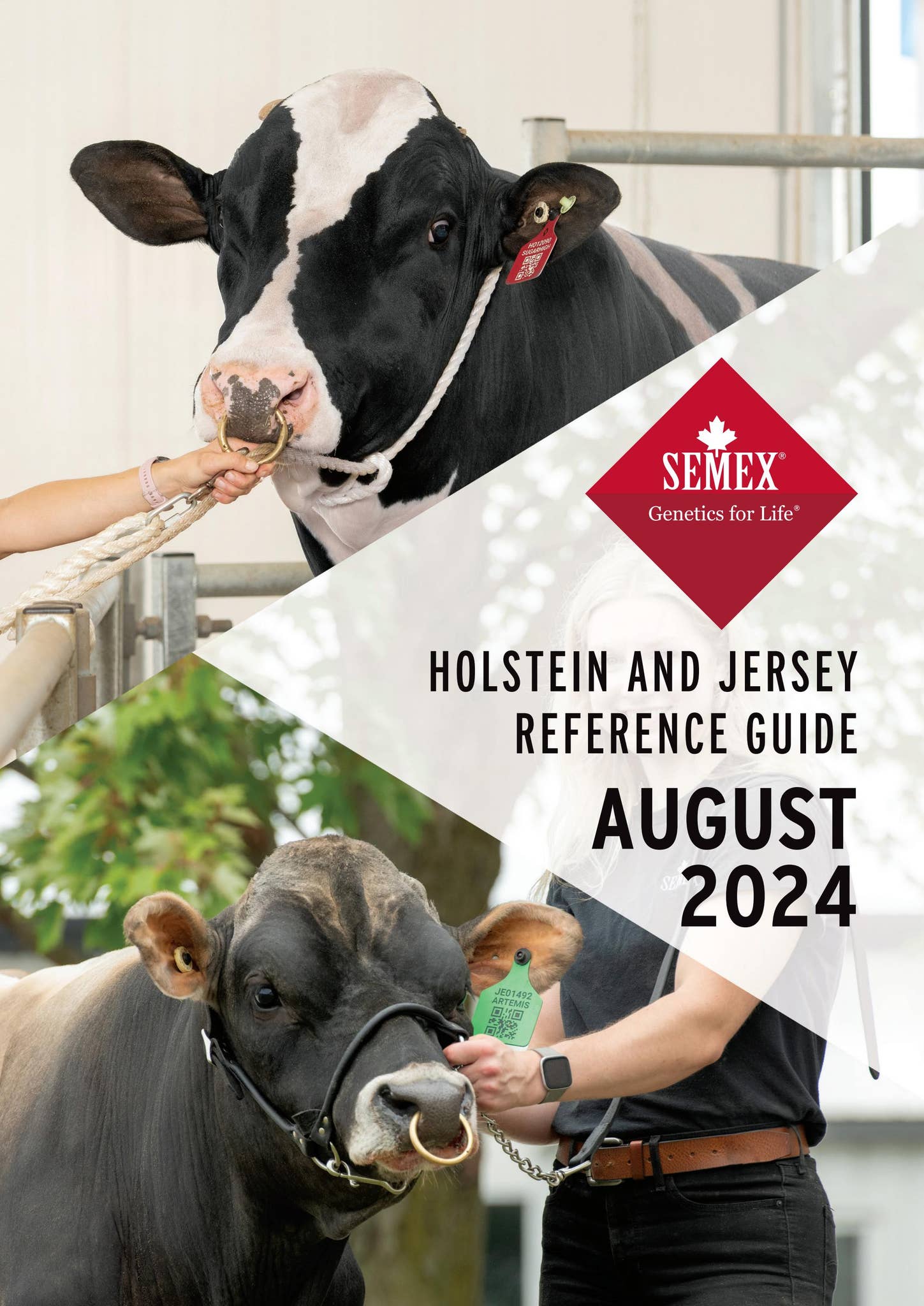 Semex - August 2024 Australia Catalogue by Semex - Issuu