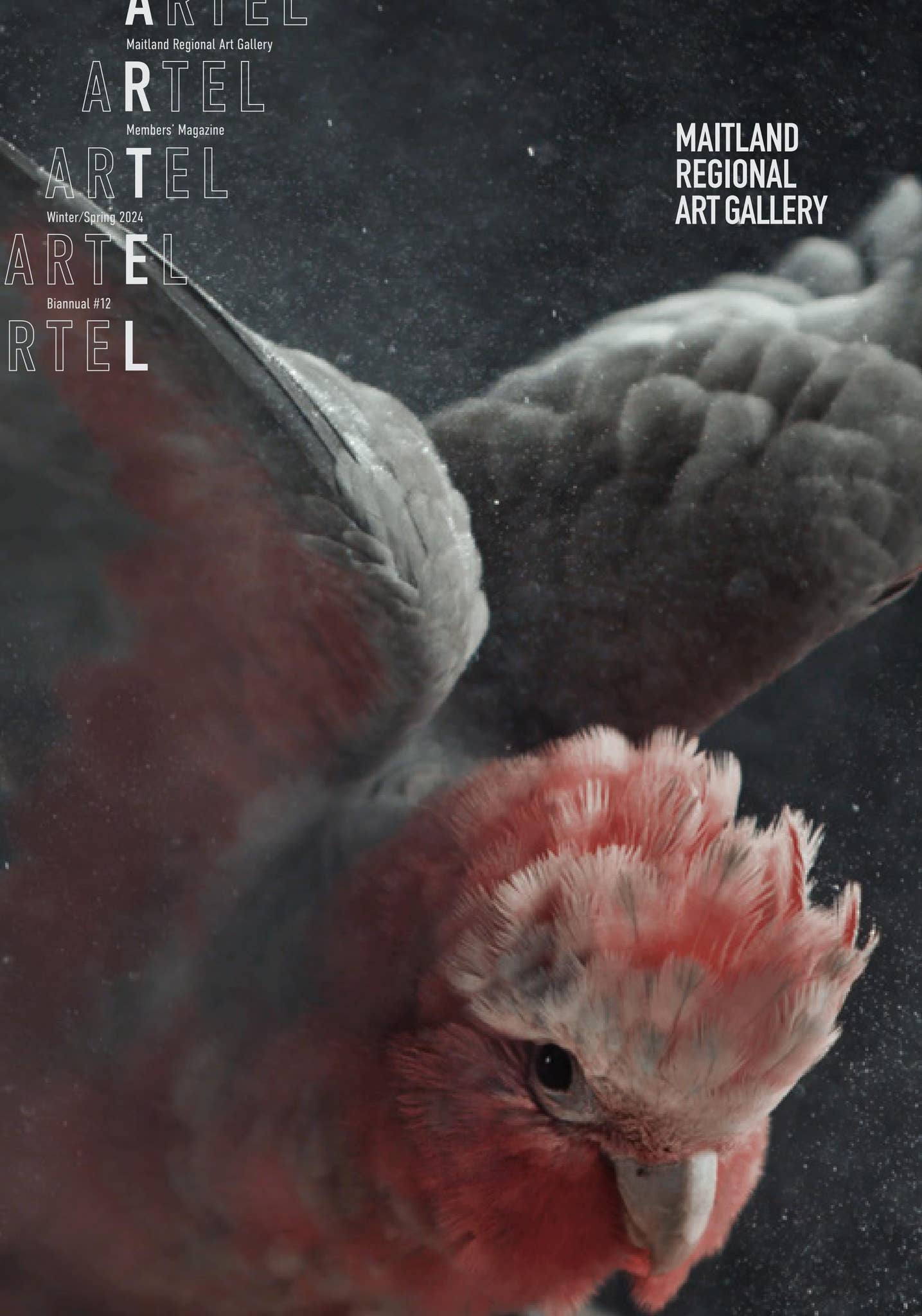Artel #12 ~ MRAG Members' Magazine (Winter/Spring 2024) by Maitland ...