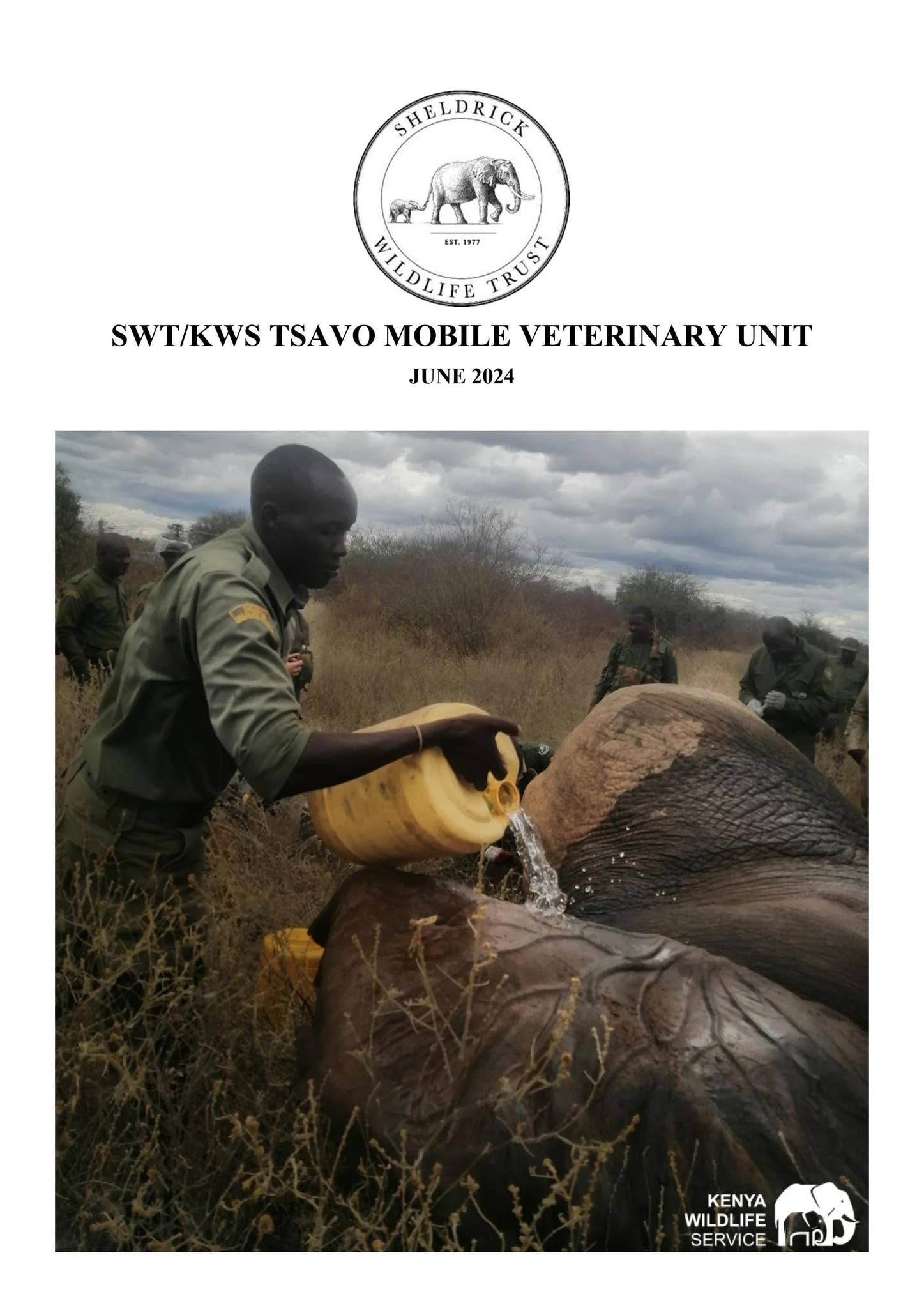 SWT/KWS Tsavo Mobile Veterinary Report for June 2024 by Sheldrick ...