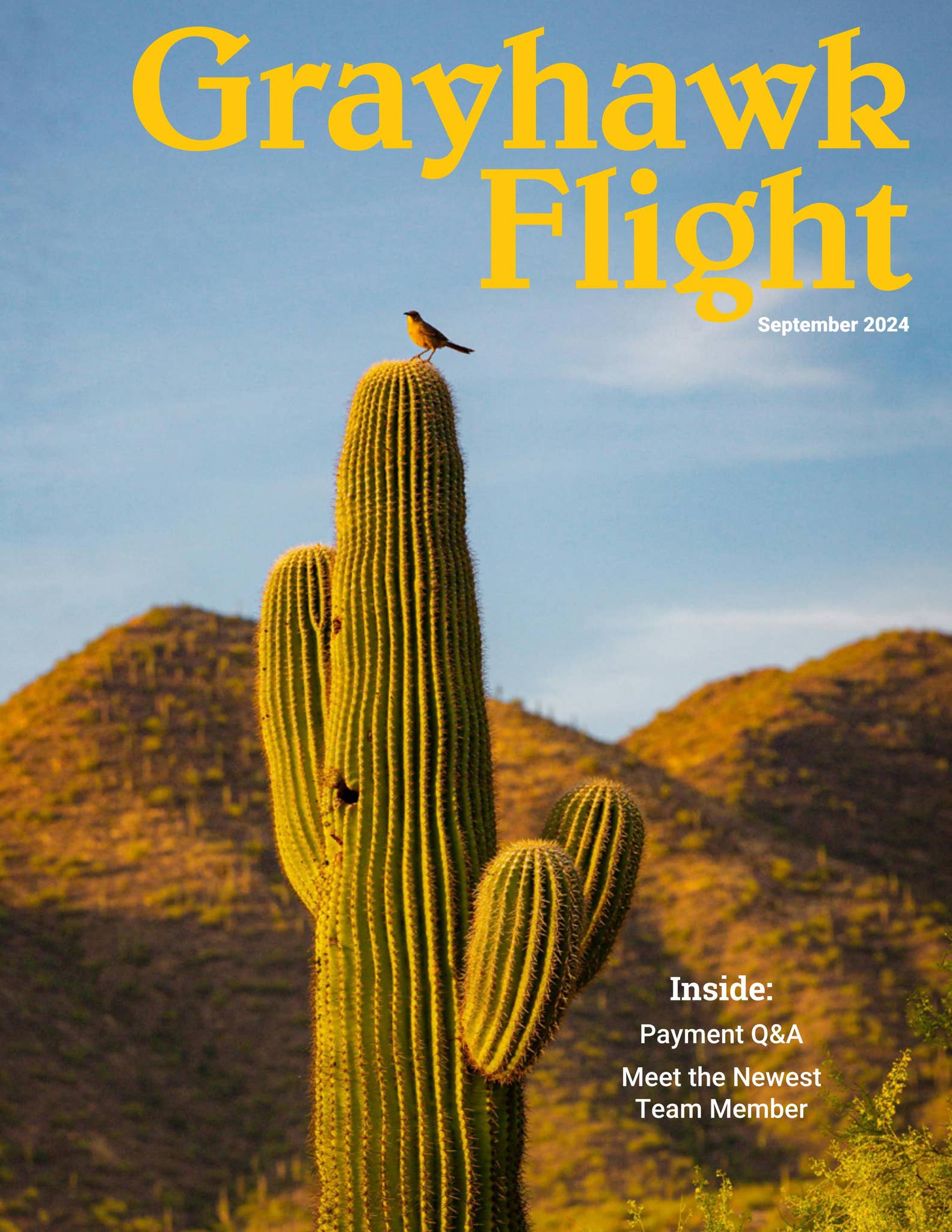 The Grayhawk Flight- September 2024 by Grayhawk Flight - Issuu
