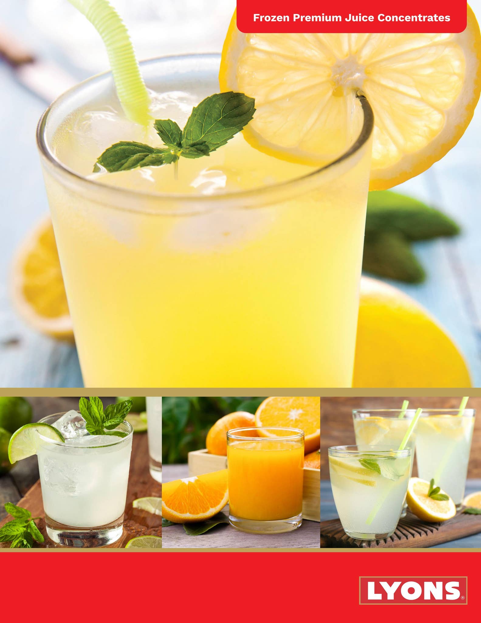 Frozen Premium Juice Concentrates by Lyons Magnus - Issuu