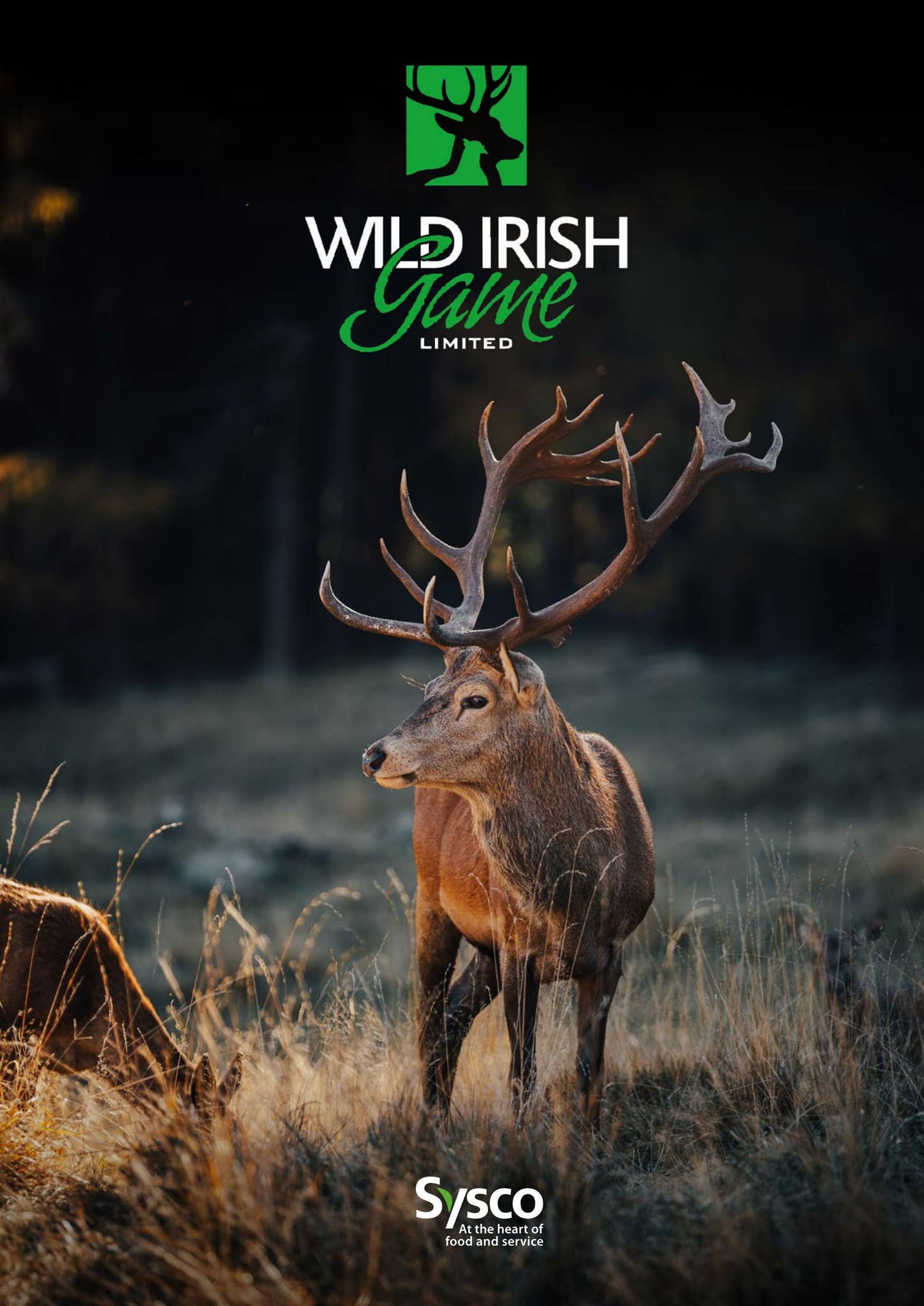 Wild Irish Game 2024 by Sysco Ireland - Issuu