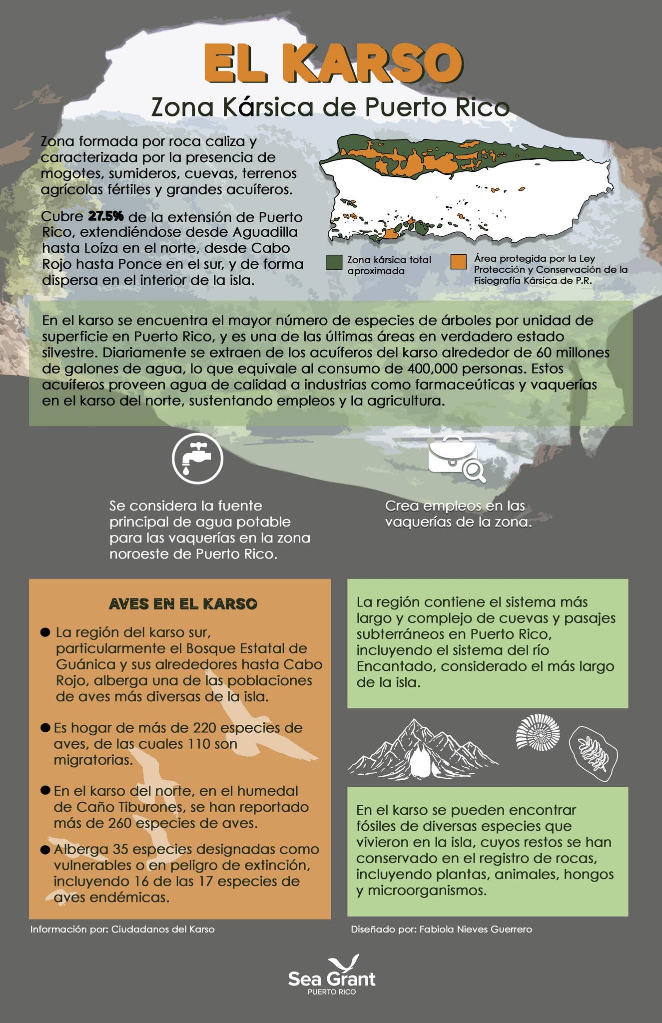 El Karso en Puerto Rico by Puerto Rico Sea Grant - Issuu