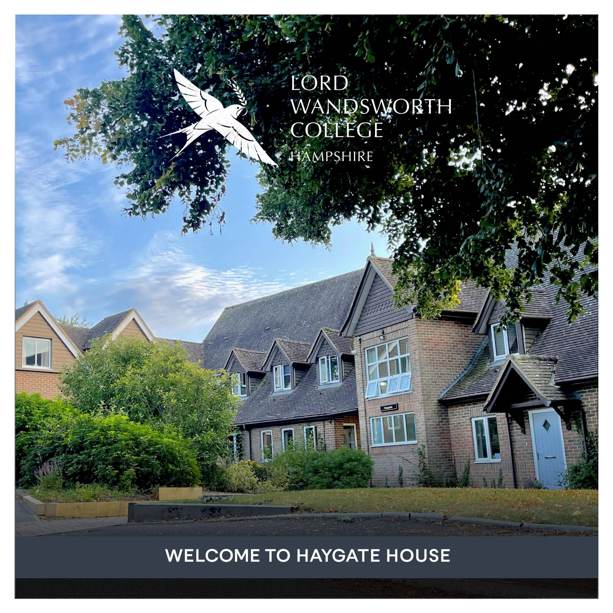 Haygate House | Pupil Handbook by Lord Wandsworth College - Issuu