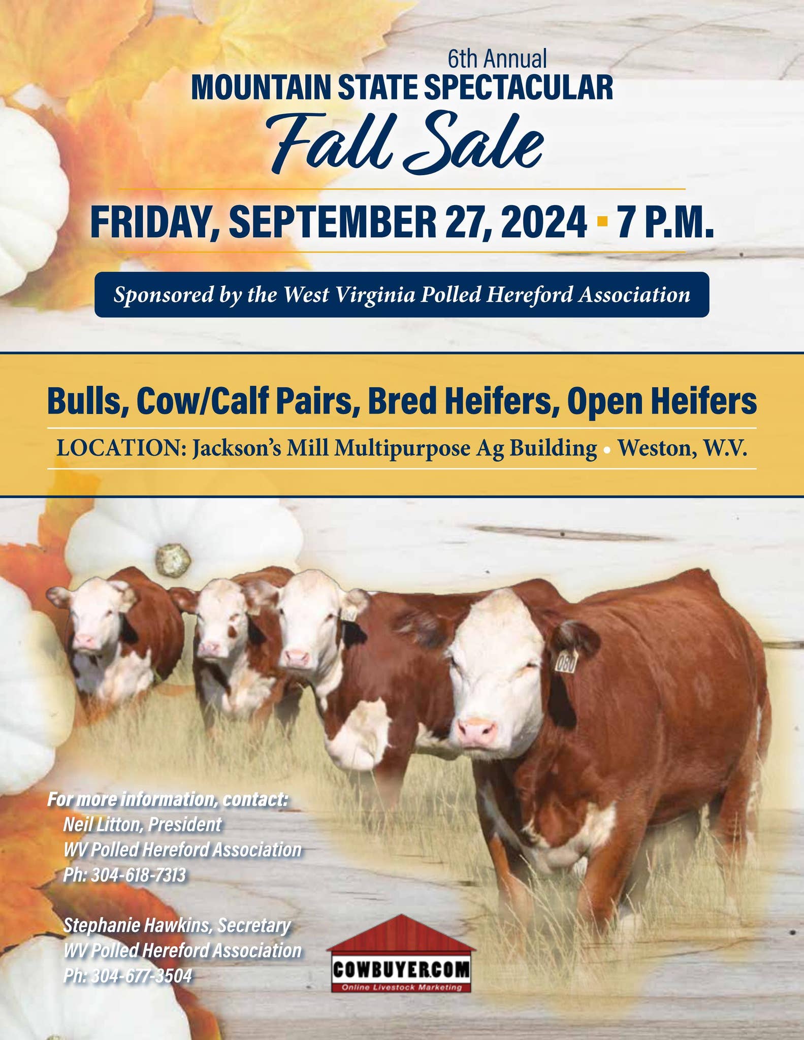 WVPHA | 6th Annual Mountain State Spectacular Fall Sale by American ...