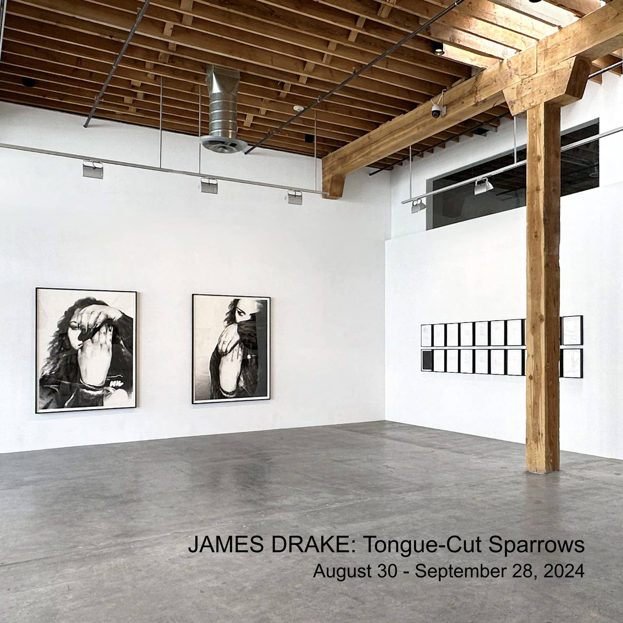 James Drake: Tongue-Cut Sparrows by Charlotte Jackson Fine Art - Issuu