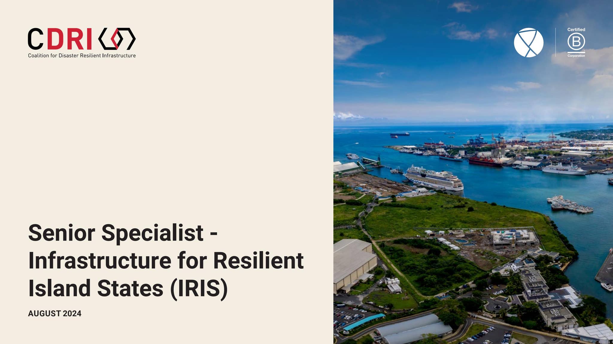 CDRI - Senior Specialist - Infrastructure for Resilient Island States ...