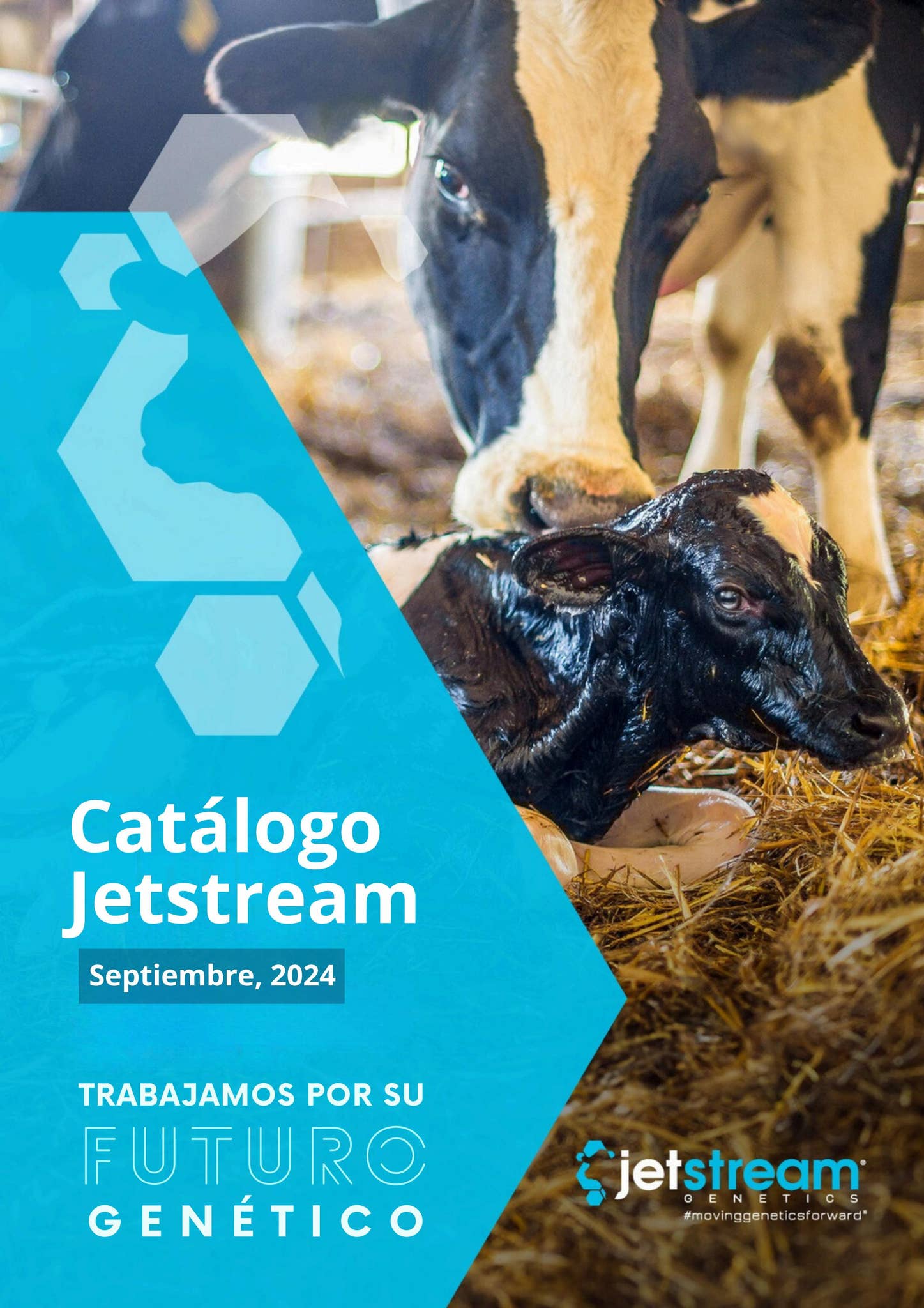 Catálogo Jetstream Septiembre 2024 by GENEX MEXICO - Issuu