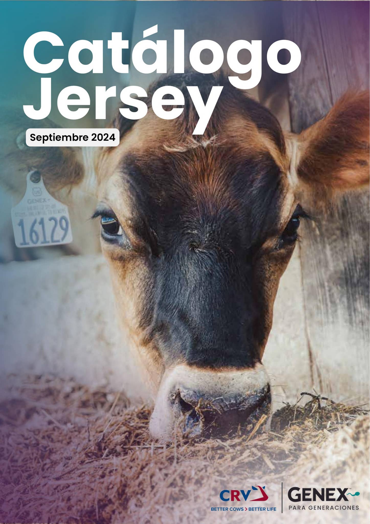 Catálogo Jersey Septiembre 2024 by GENEX MEXICO - Issuu