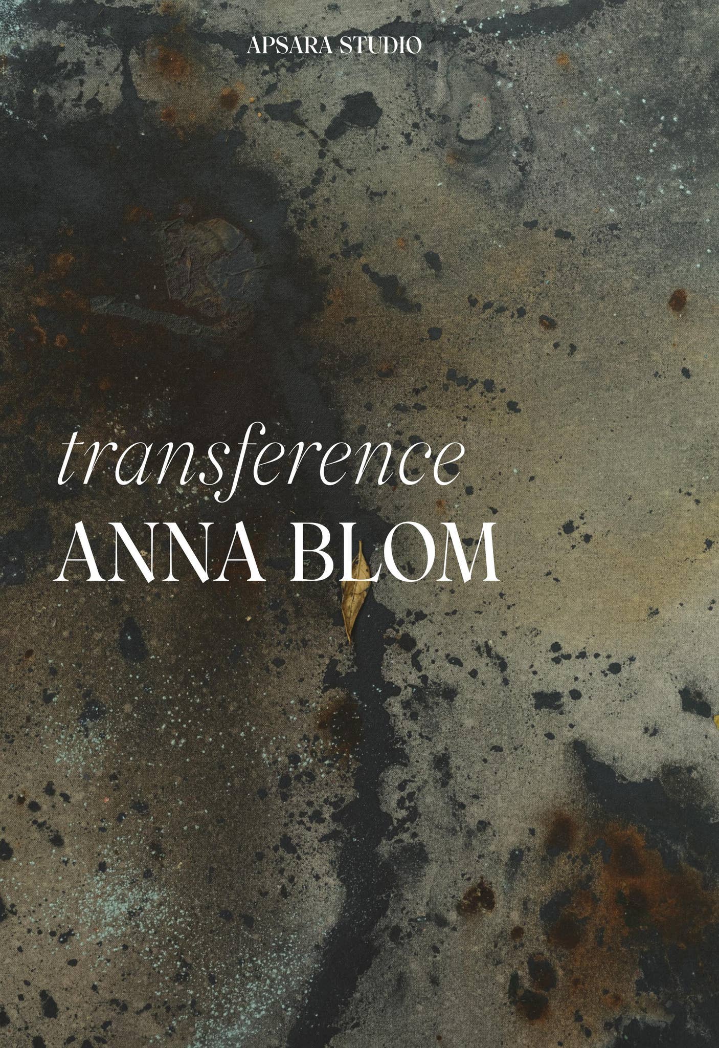 Anna Blom 'transference' by ANNA BLOM - Issuu
