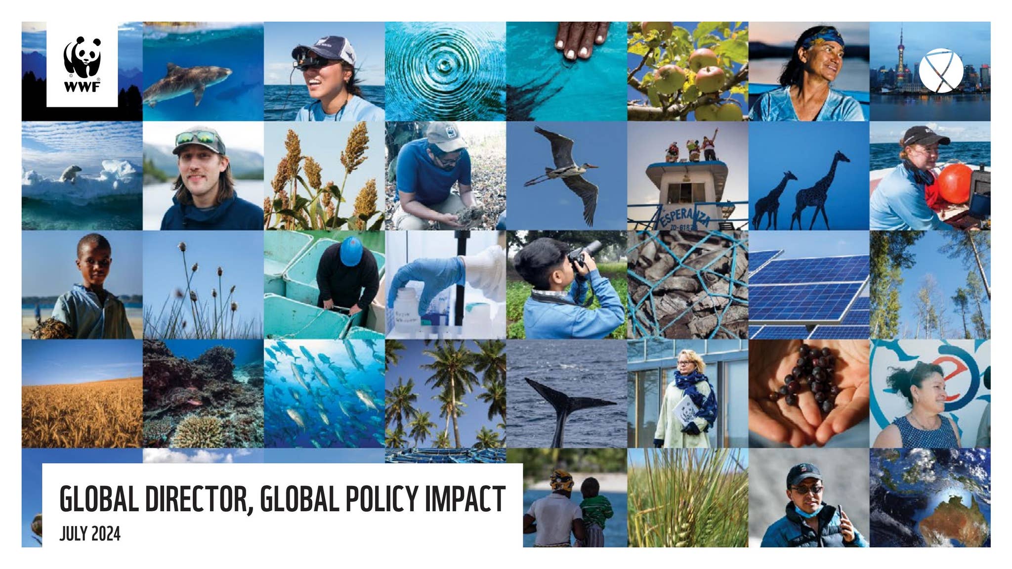 WWF – Global Director, Global Policy Impact by Oxford HR - Issuu