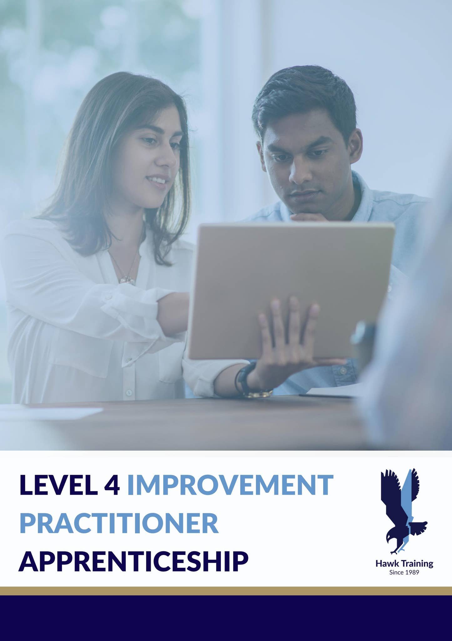 Level 4 Improvement Practitioner Apprenticeship Programme Guide by Hawk ...