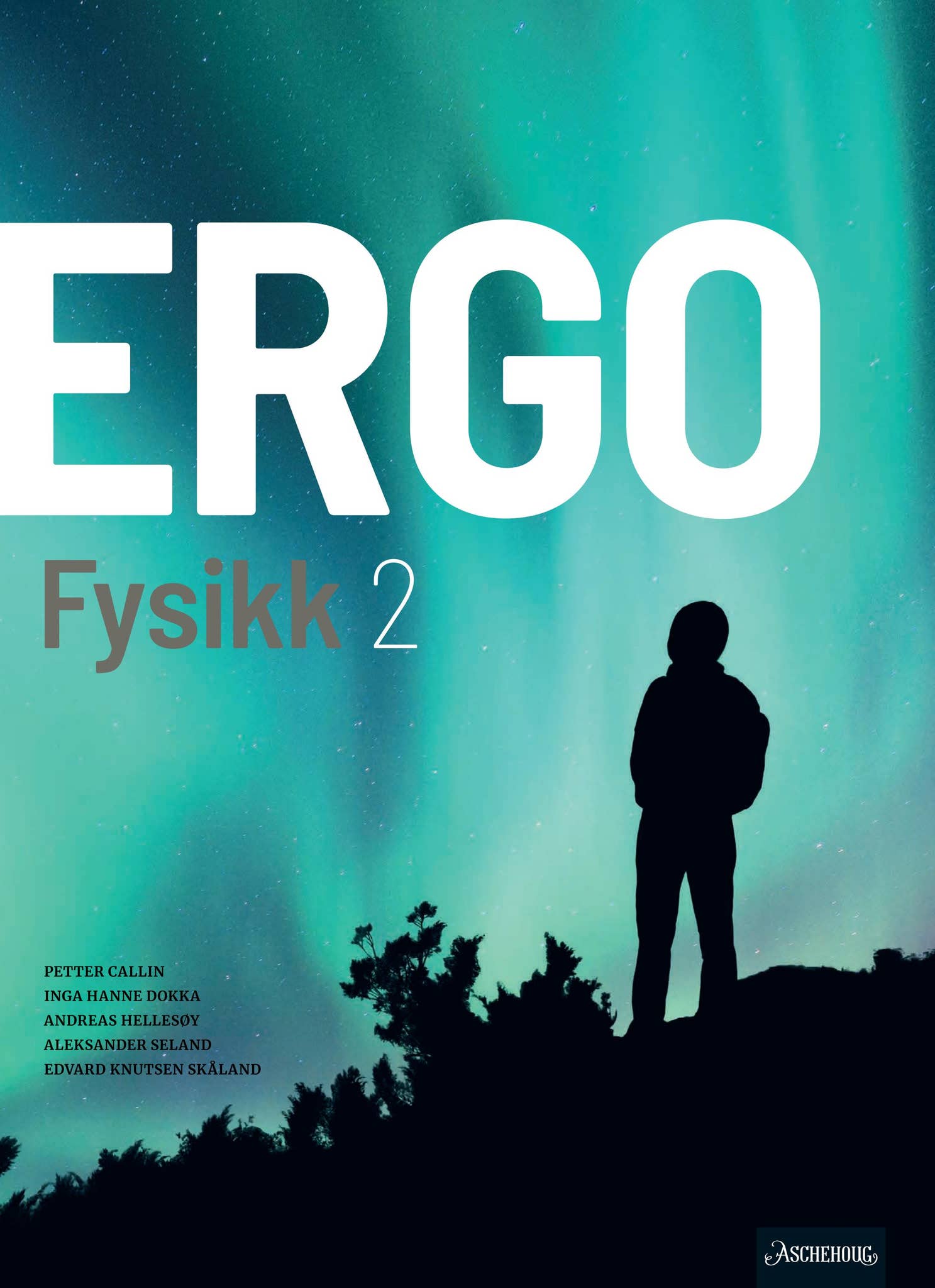 ERGO Fysikk 2 BM by Aschehoug Utdanning - Issuu