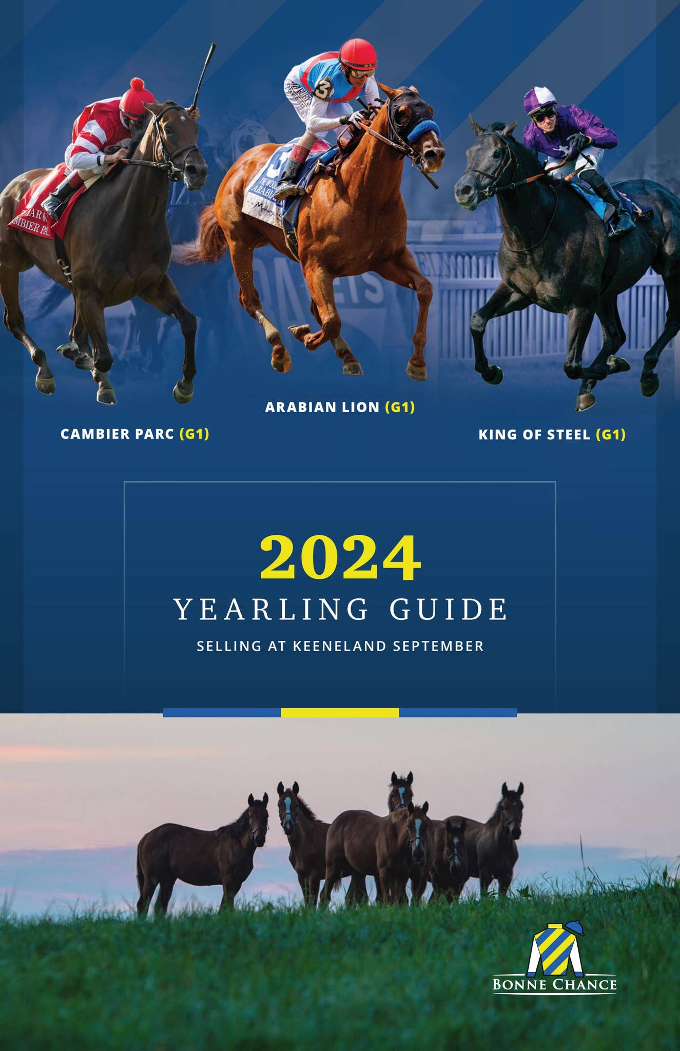 2024 Bonne Chance Brochure by Studio 34 - Issuu