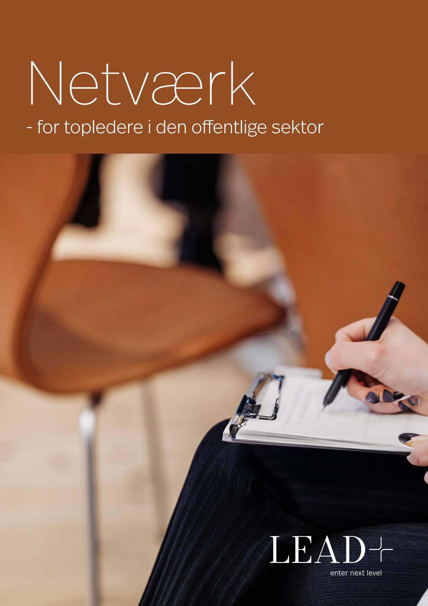 Netværk for topledere i den offentlige sektor by LEAD - Enter next level - Issuu