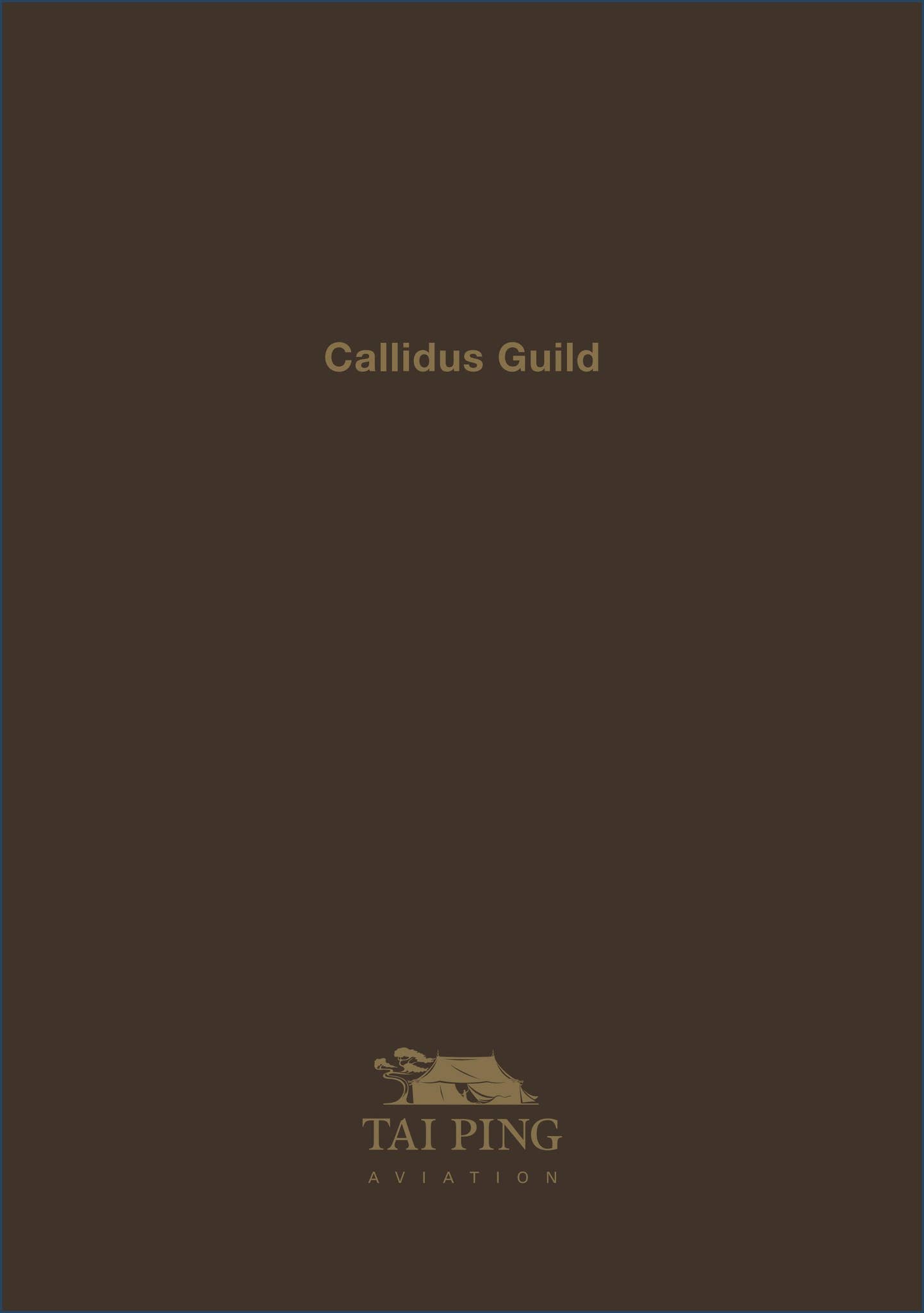 Callidus Guild Collection for Aviation by Tai Ping Carpets - Issuu