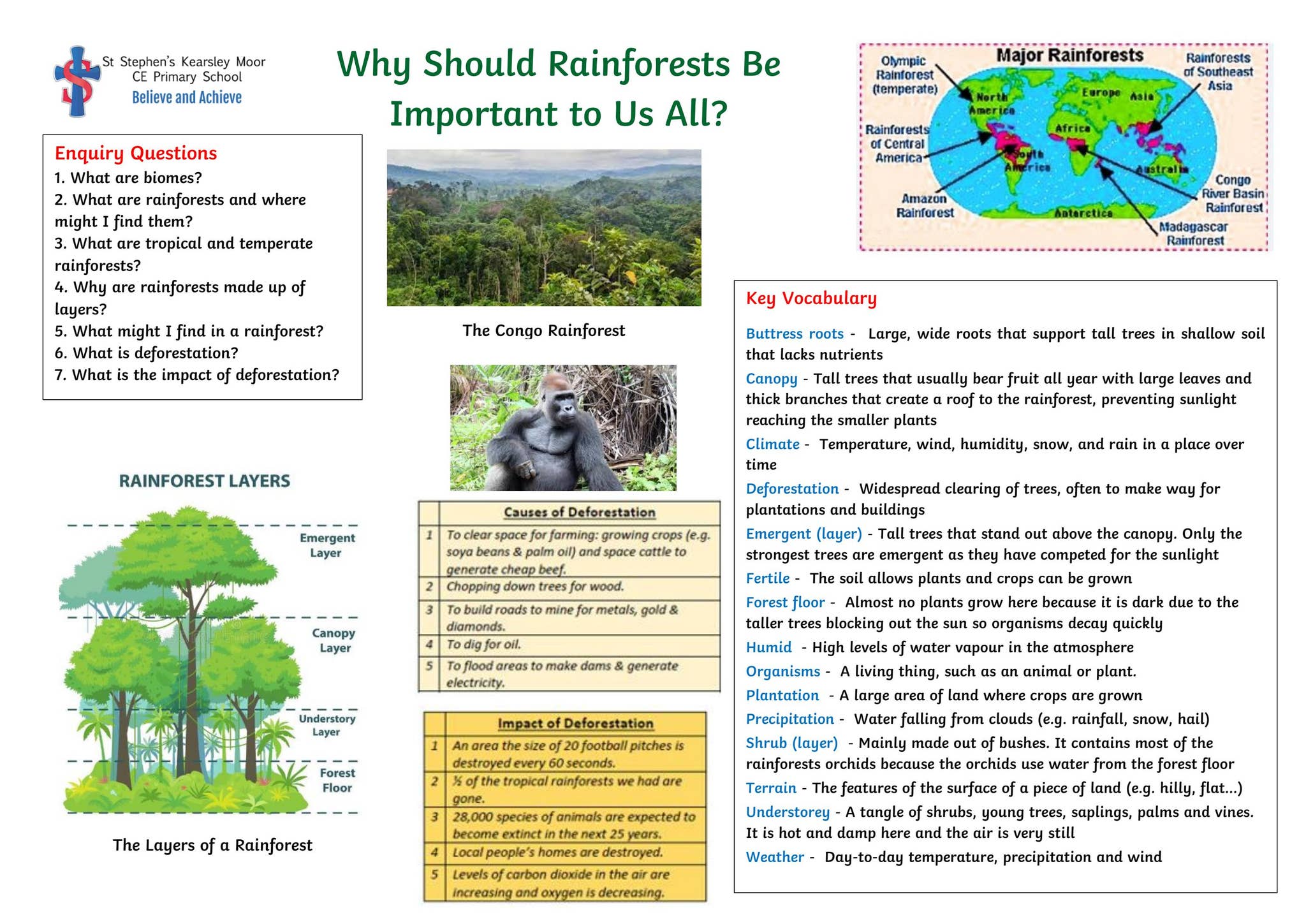 Rainforest Knowledge Organiser by Schudio - Issuu