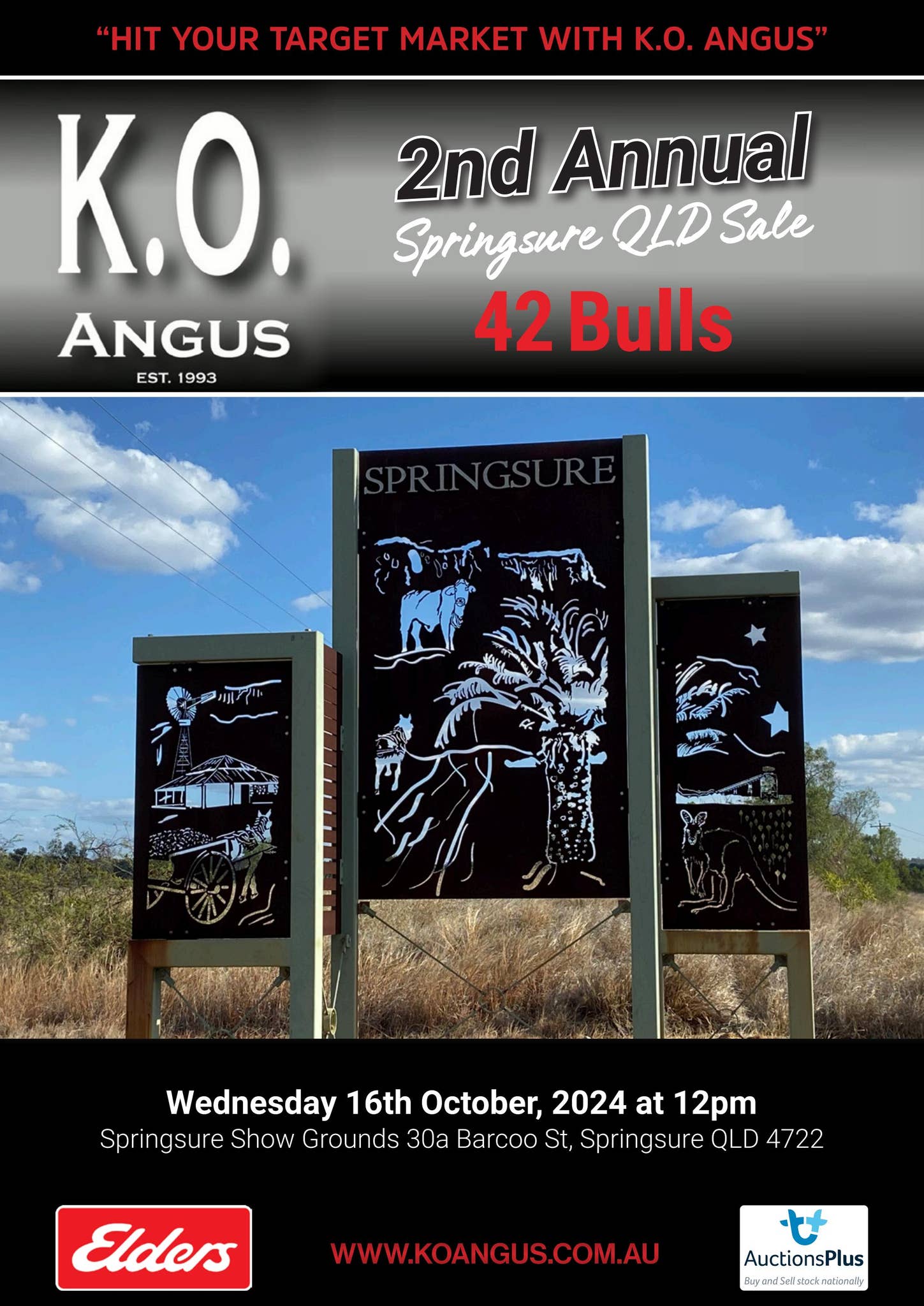 K.O. Angus 2nd Annual Springsure QLD Bull Sale by Angus Australia - Issuu