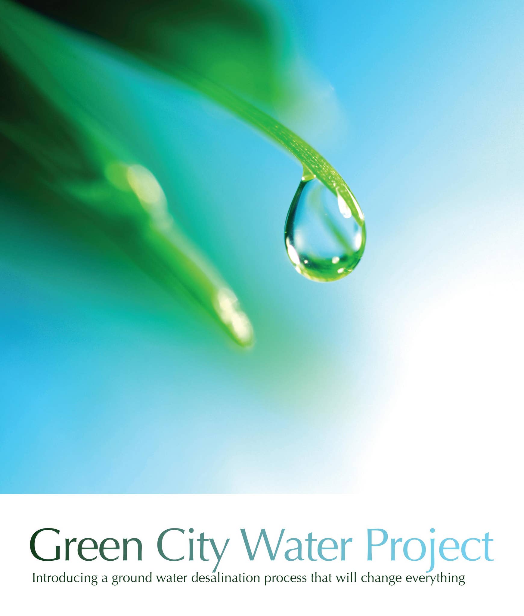 Green City Water Project by alainaoleston - Issuu