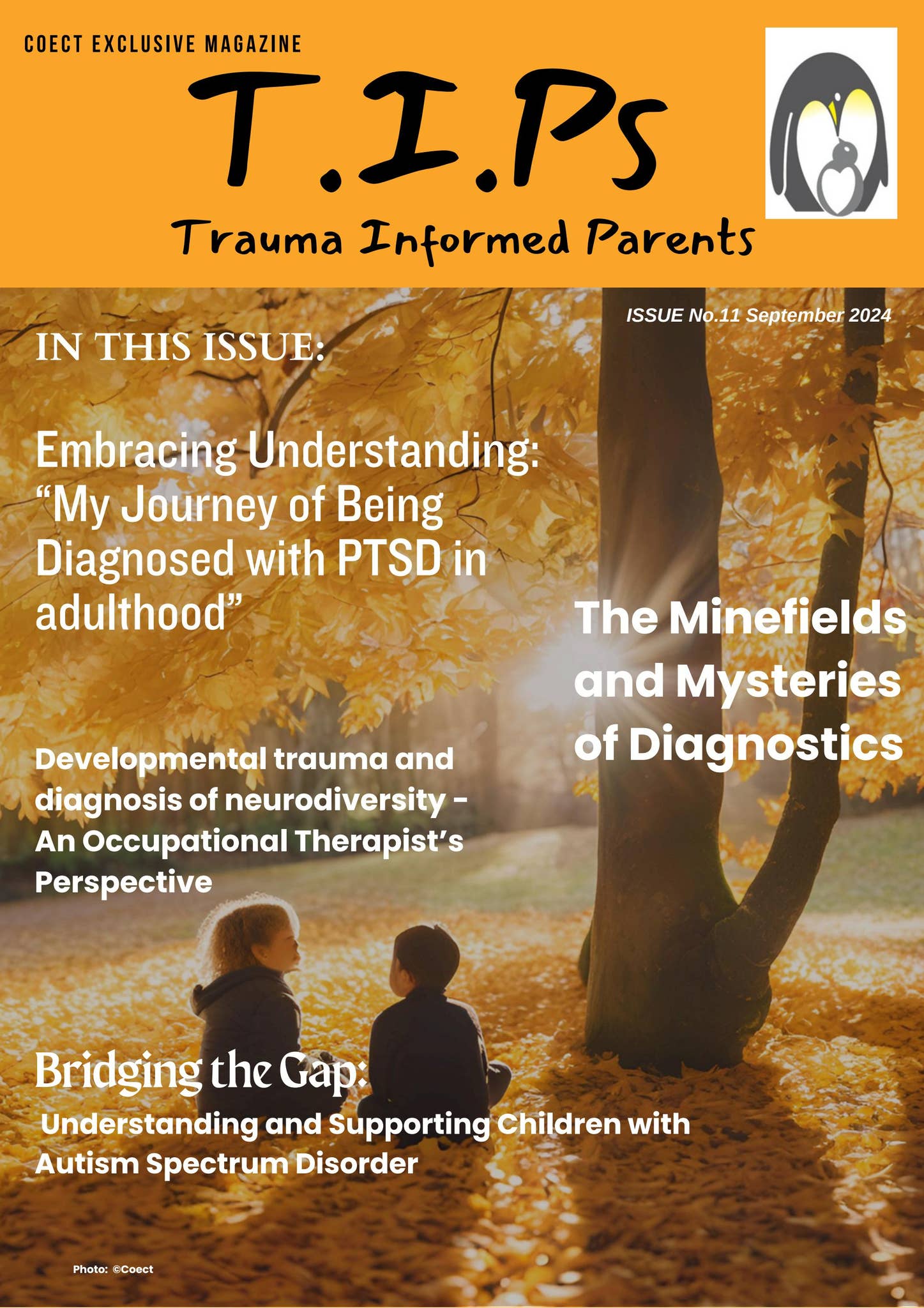 Issue 11 TIPs Magazine by coect - Issuu