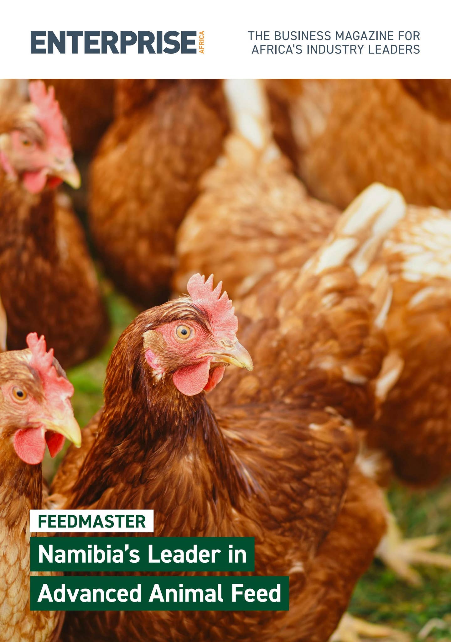 Feedmaster - Enterprise Africa September 2024 by CMB Media Group - Issuu
