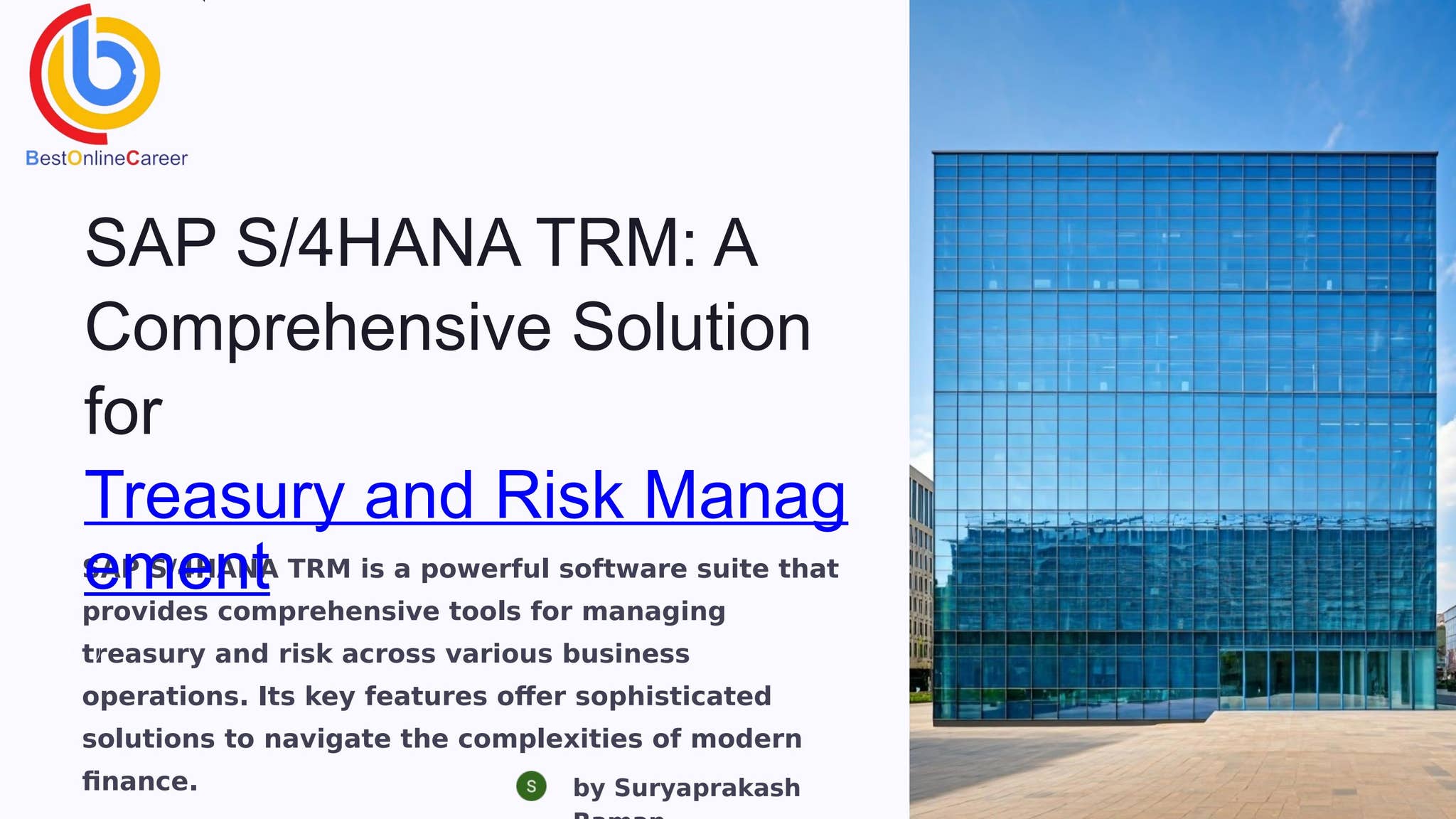 SAP S/4HANA TRM: Master Treasury and Risk Management Today! by Best ...