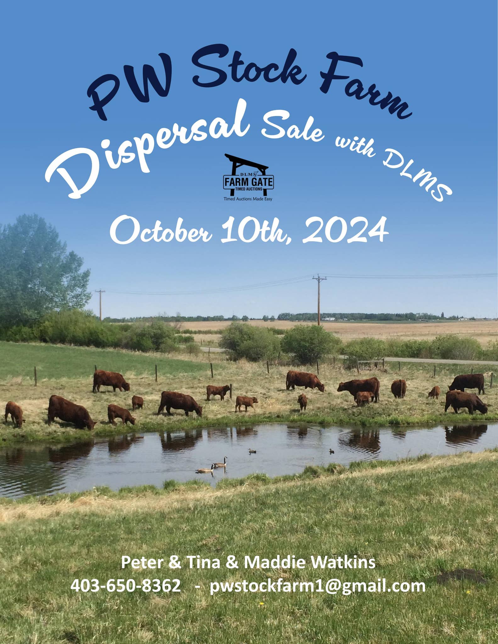 PW Stock Farms Salers Complete Herd Dispersal - DLMS Farm Gate Timed ...