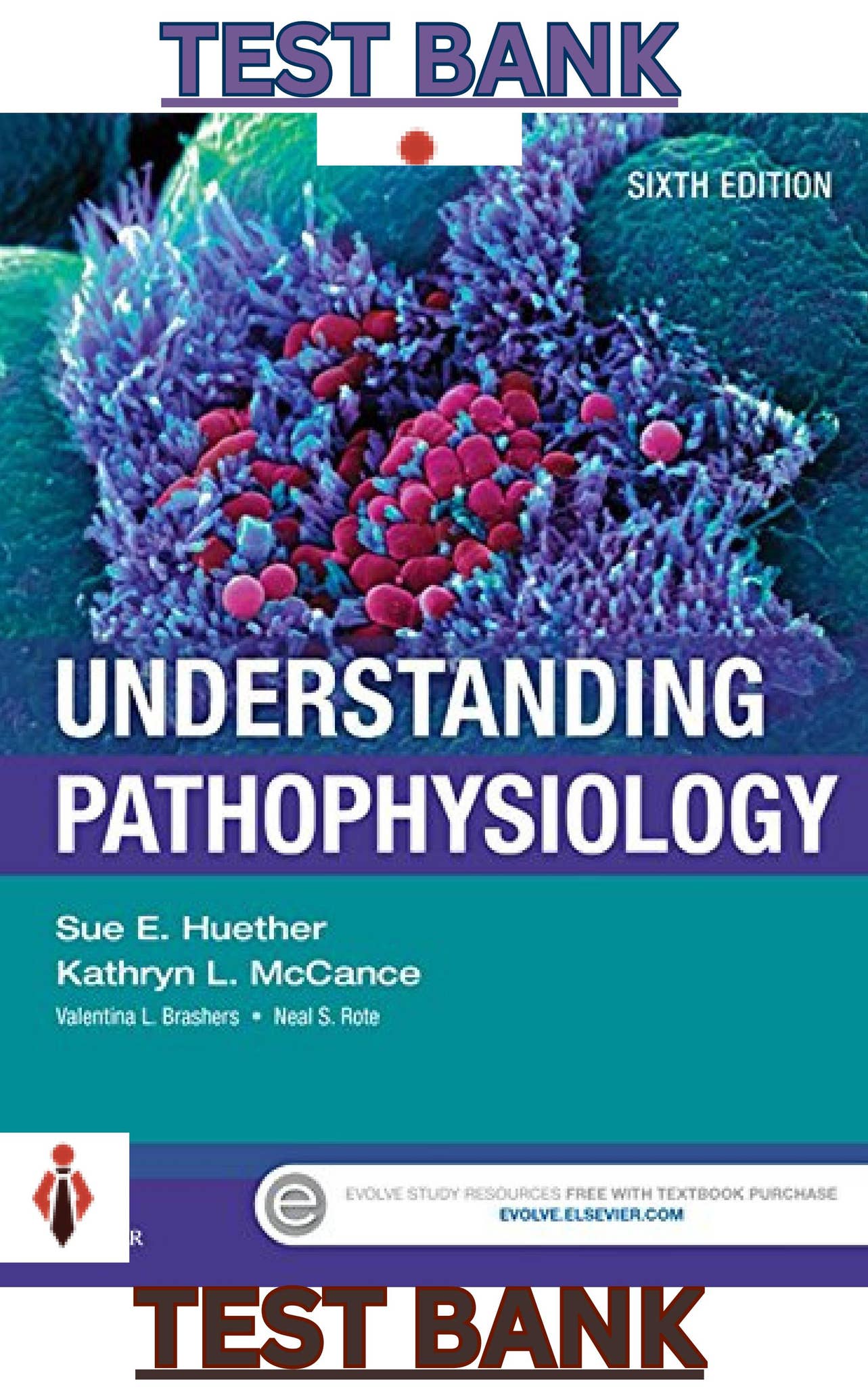 Test Bank for Understanding Pathophysiology 6E by Huether & McCance by ...