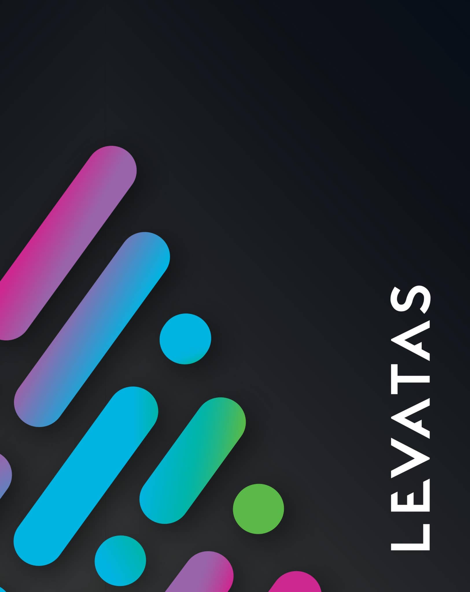 Visual AI by Levatas - Issuu