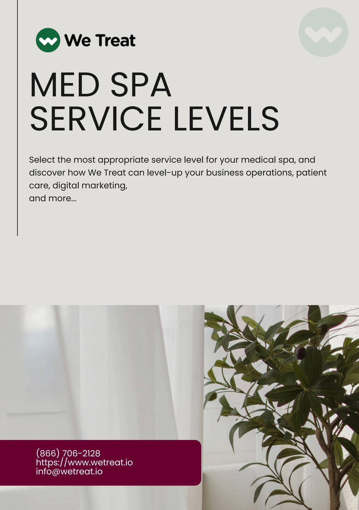 Med Spa Service Levels by We Treat - Issuu
