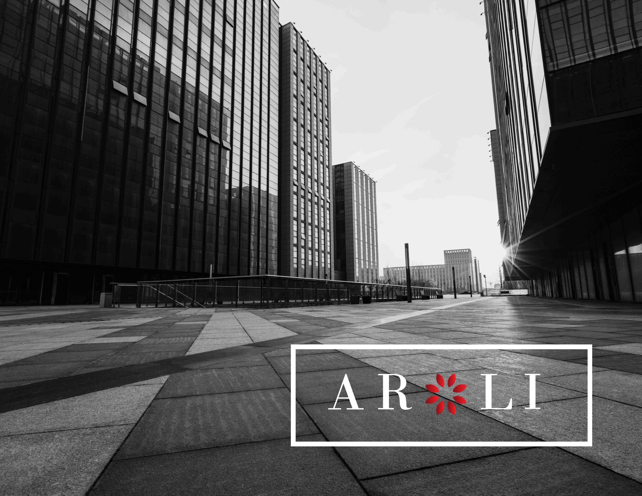 Aroli REPMS by aroliseo - Issuu