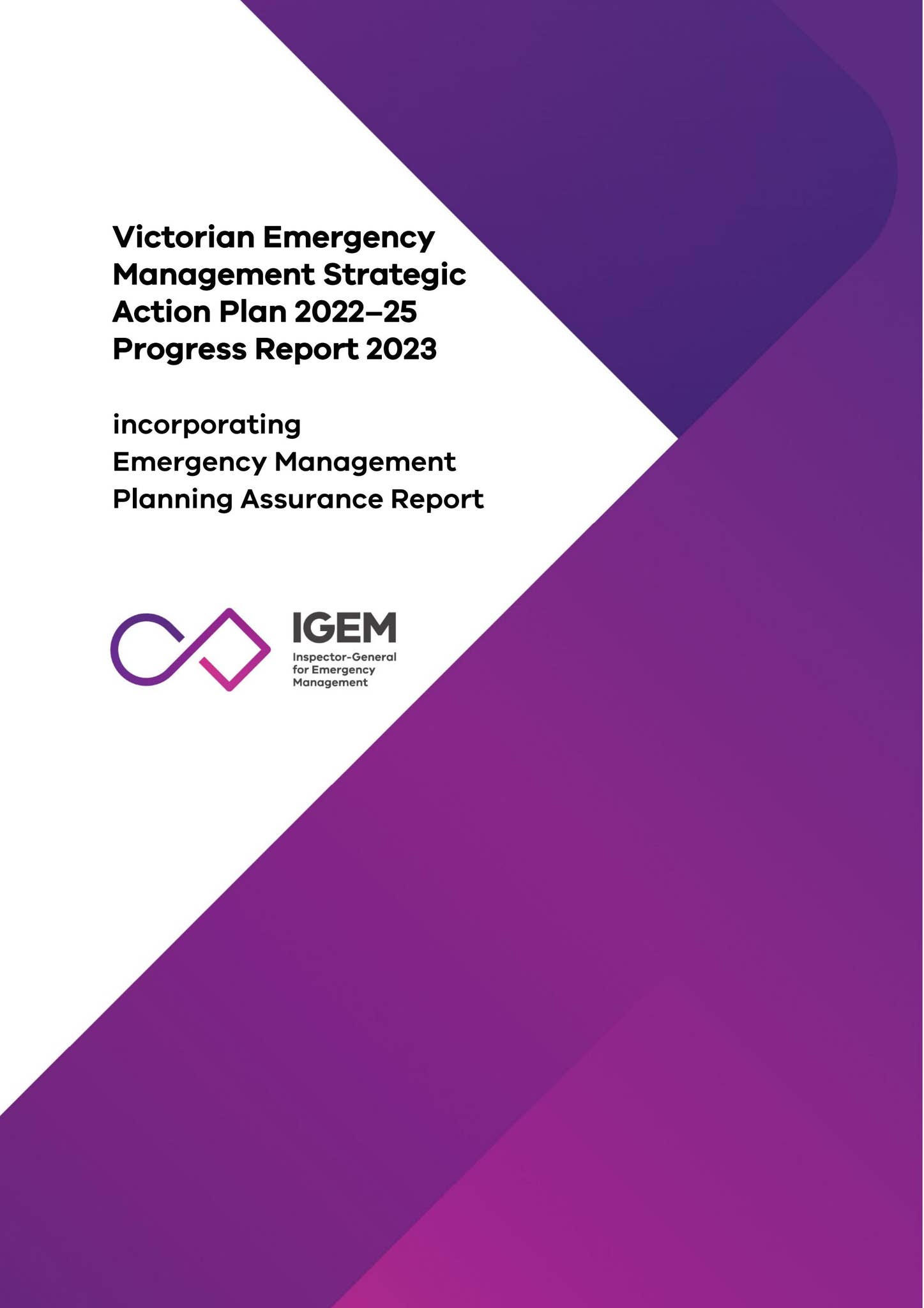 Victorian Emergency Management Strategic Action Plan 2022–25 Progress ...