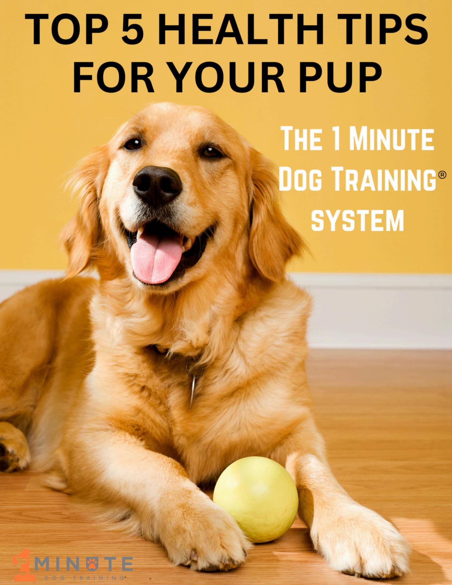Top 5 Health Tips for Your Pup by alohaearth - Issuu
