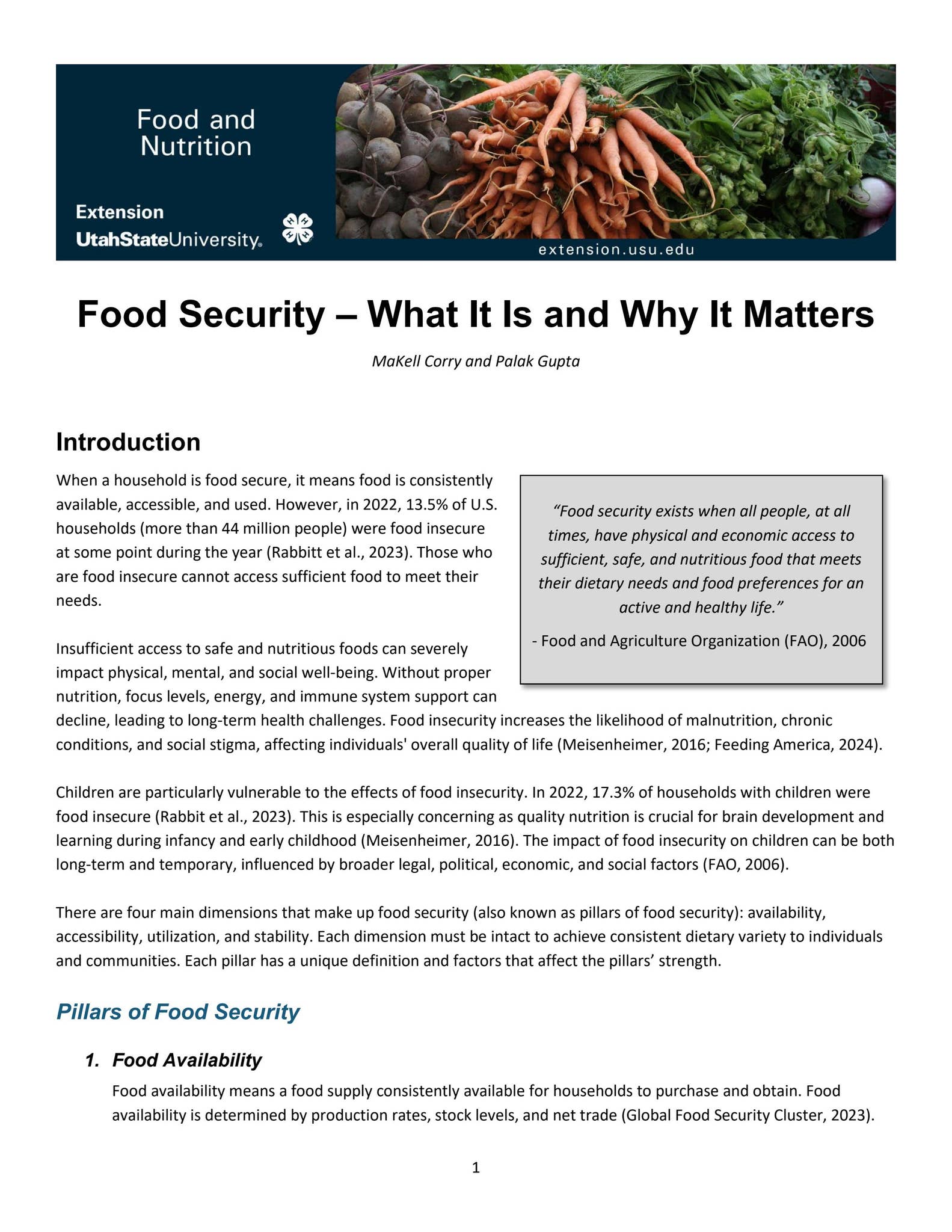 Food Security – What It Is and Why It Matters by Utah State University ...