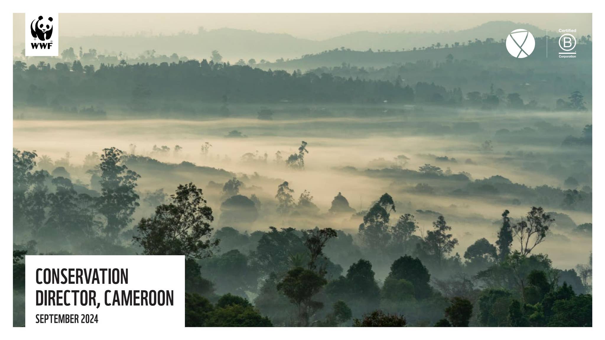 WWF - Conservation Director, Cameroon by Oxford HR - Issuu