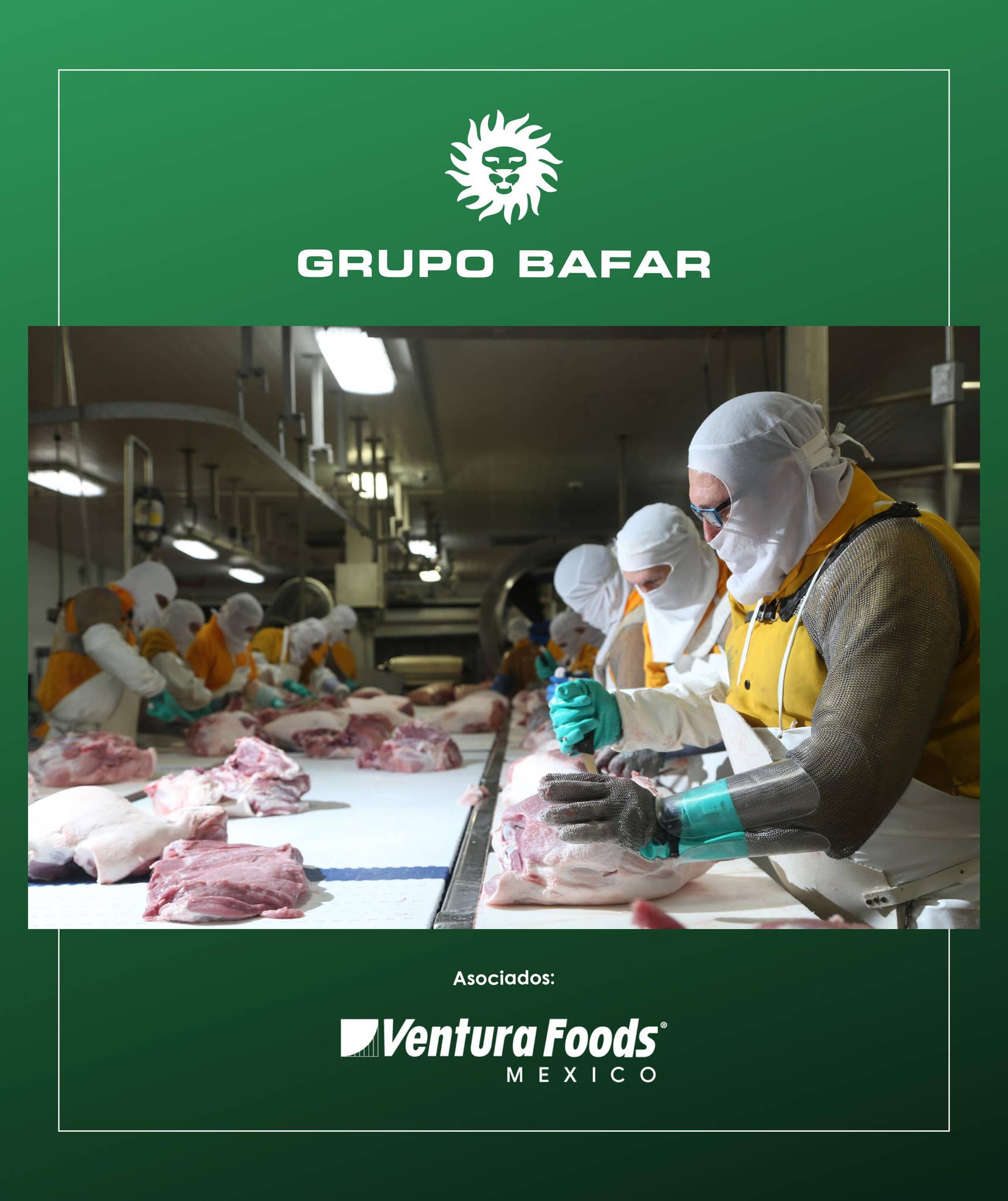 Grupo BAFAR | BBR - Folleto by The Boston Business Review - Issuu