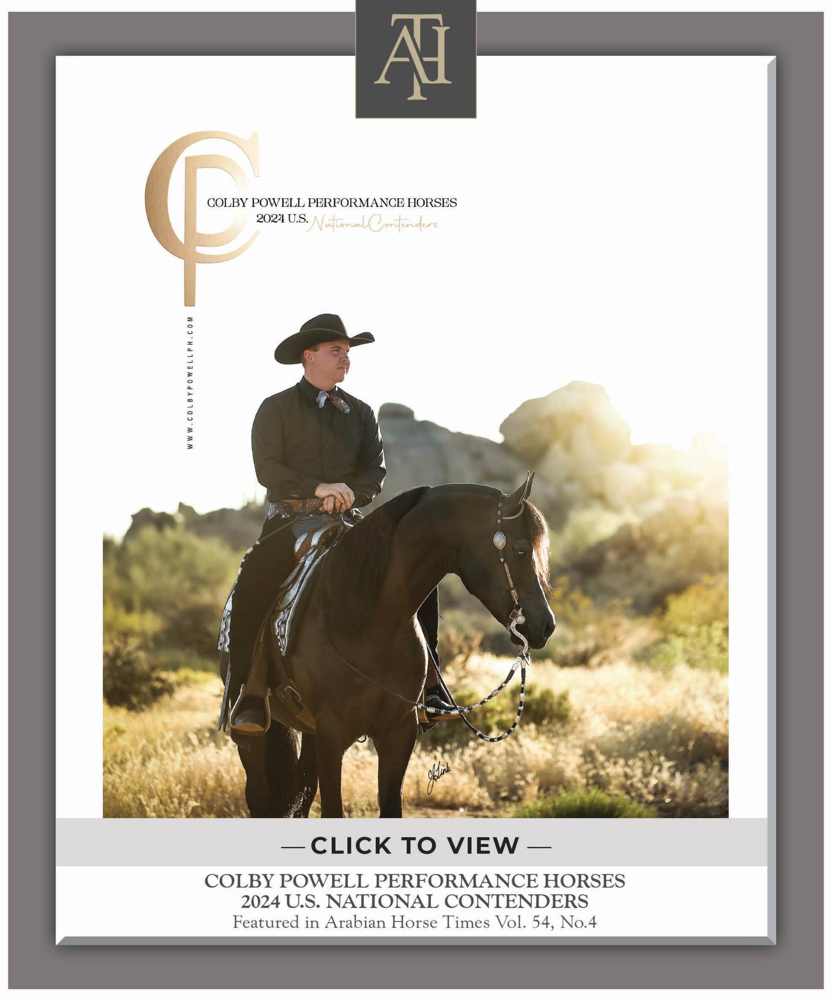 Colby Powell Performance Horses Featured In AHT Vol. 54, No. 4 by ...