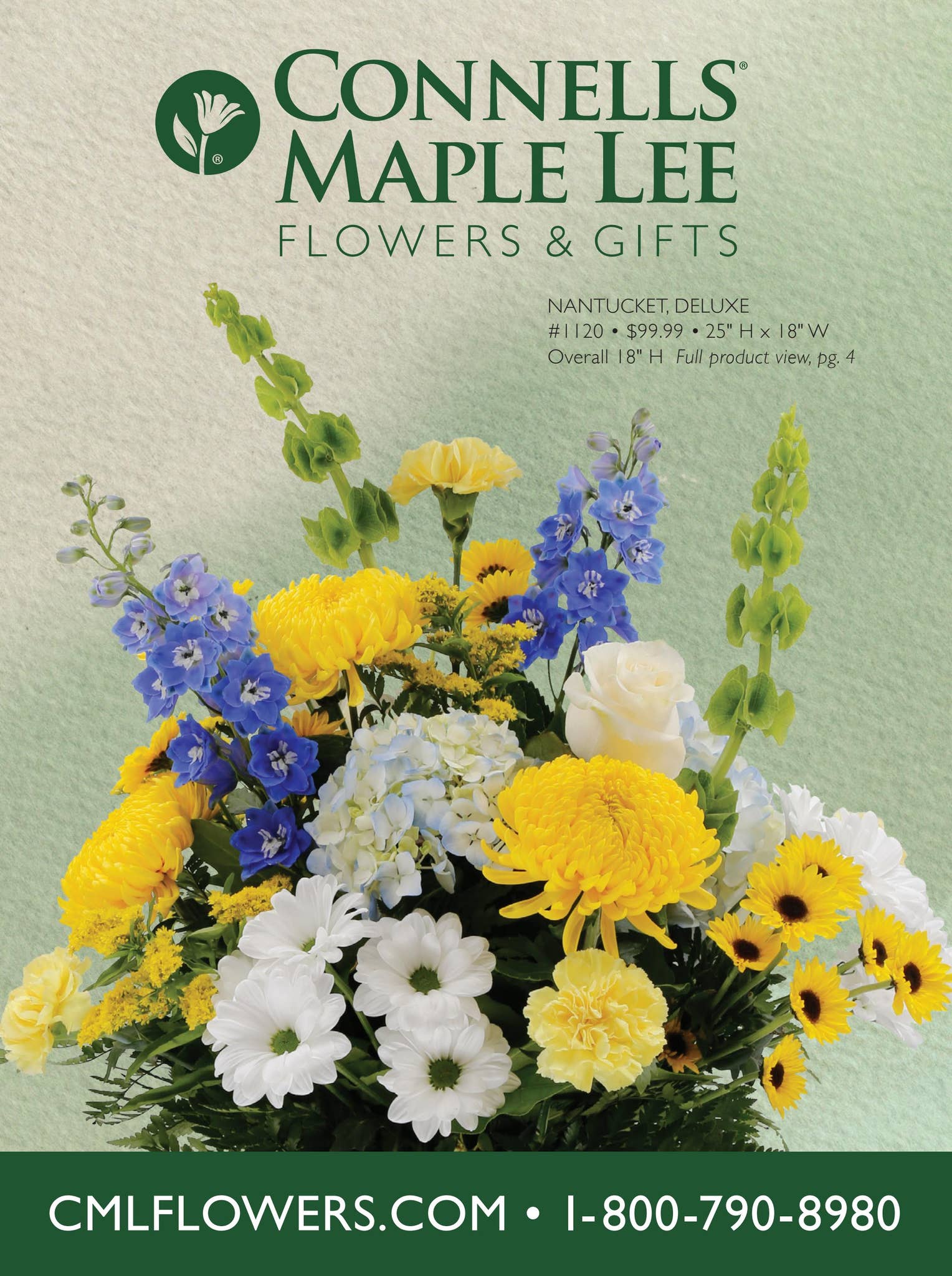 Connells Maple Lee Everyday Catalog 2024 by US Retail Flowers Inc. - Issuu