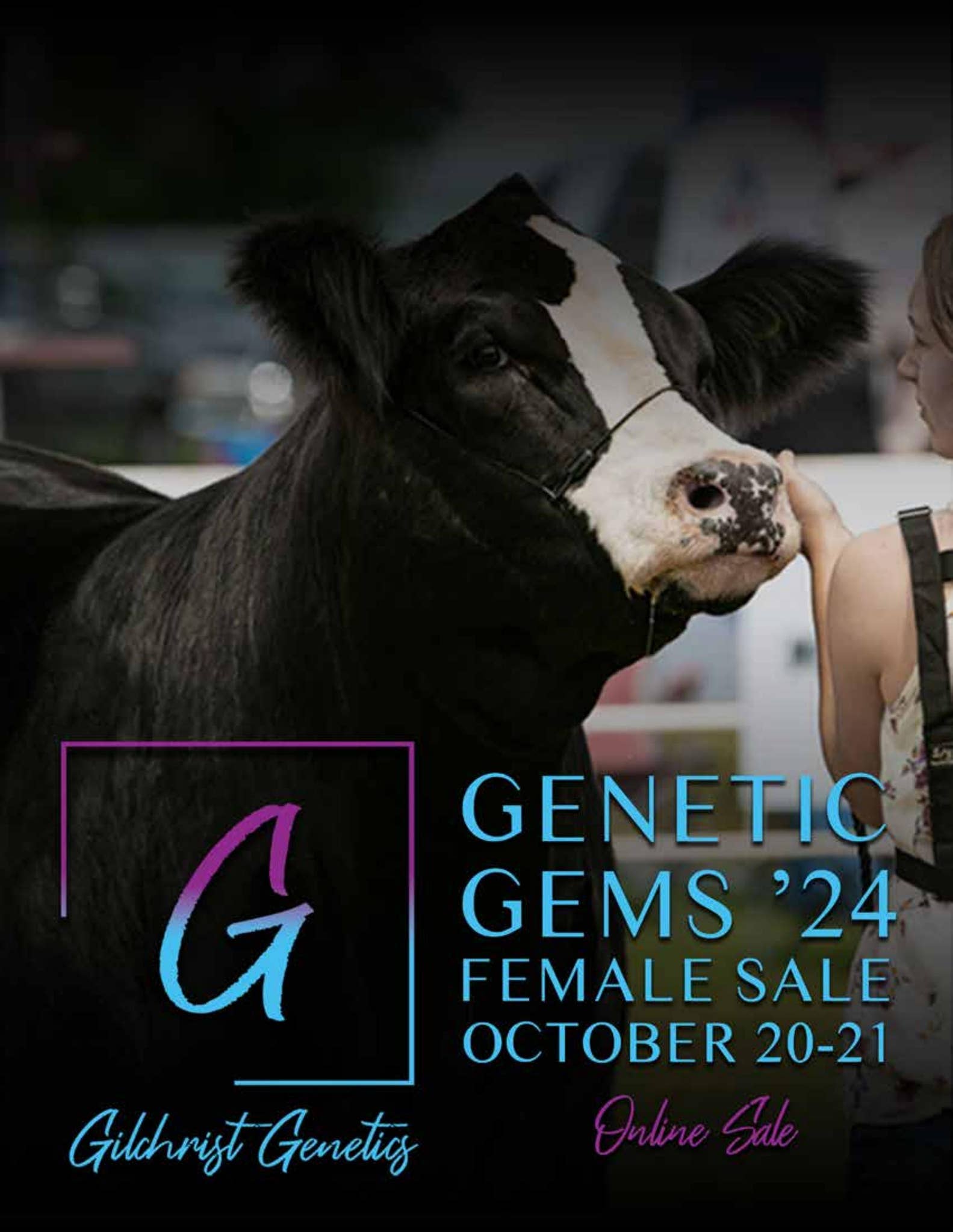 Gilchrist Genetic Gems Female Sale 2024 by Bohrson Marketing Services ...