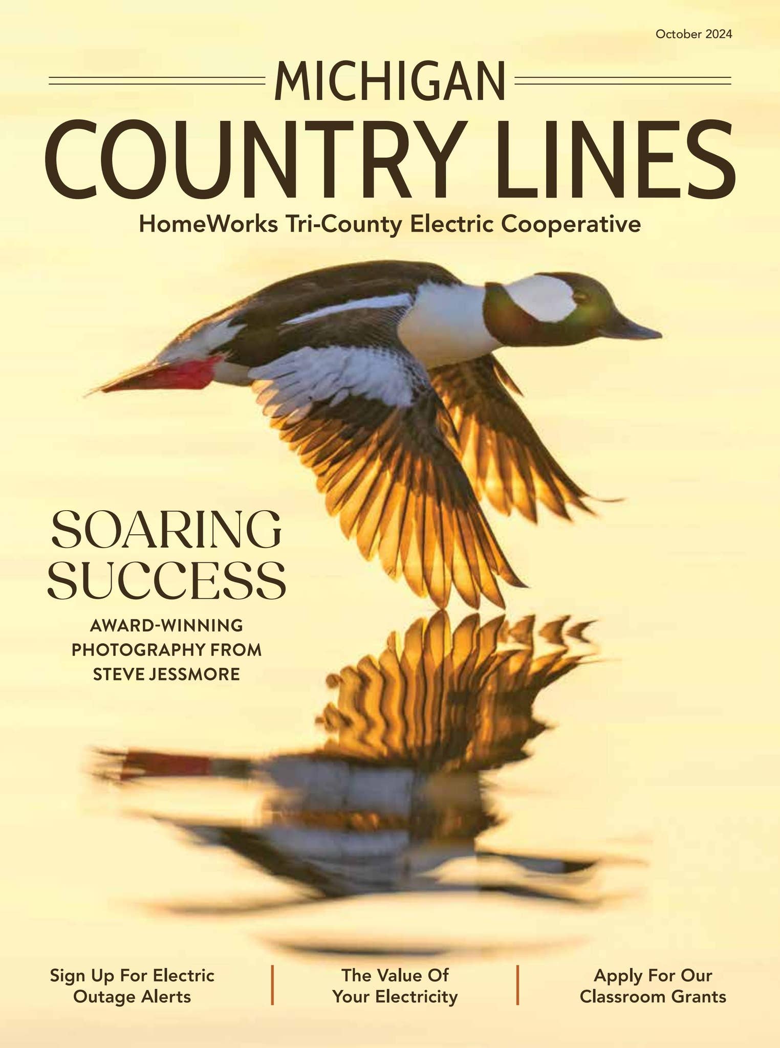 October 2024 HomeWorks Tri-County by Country Lines - Issuu