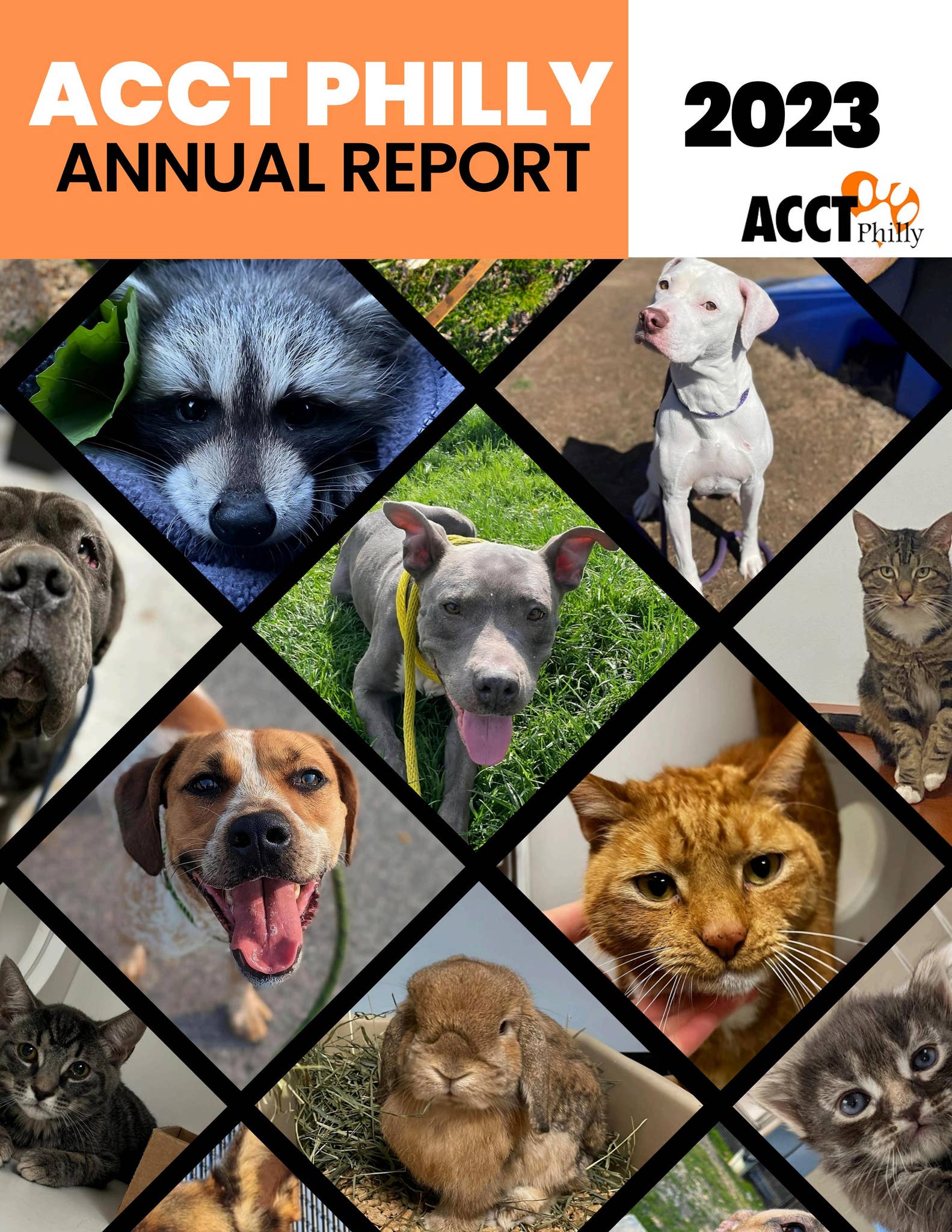 ACCT Philly Annual Report 2023 by ACCTPhilly - Issuu